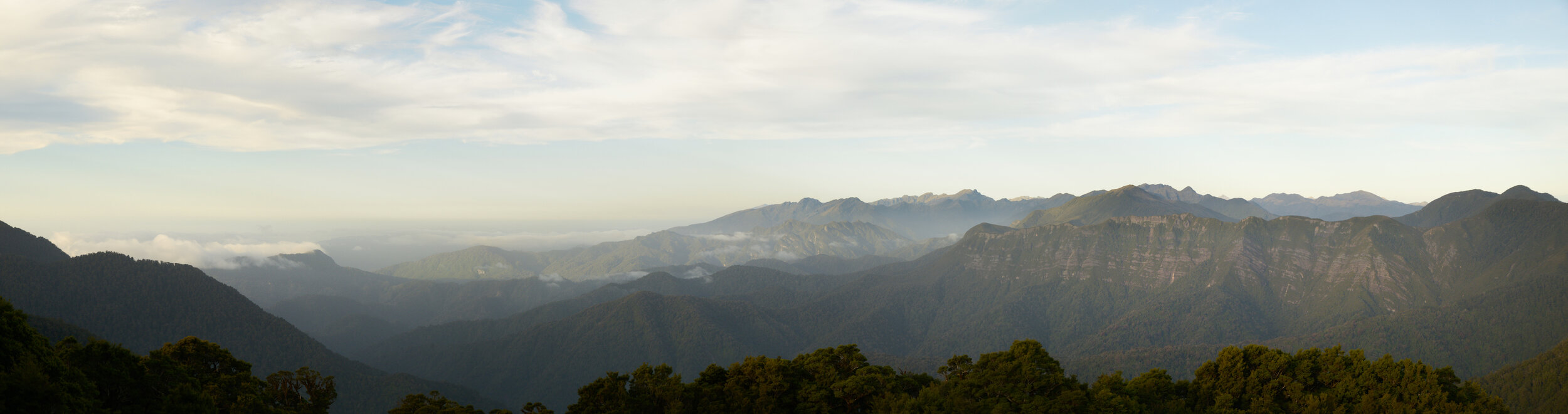 Paparoa Track — Paparoa Guided Walks