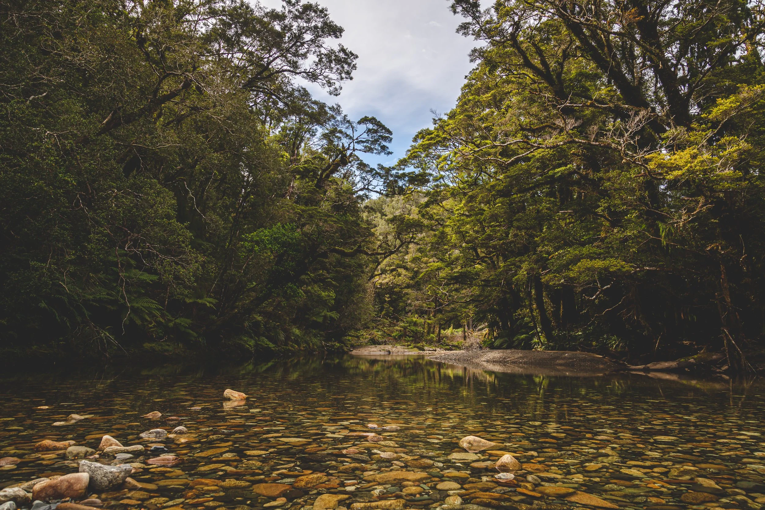 Paparoa Guided Walks: Paparoa Track, New Zealand