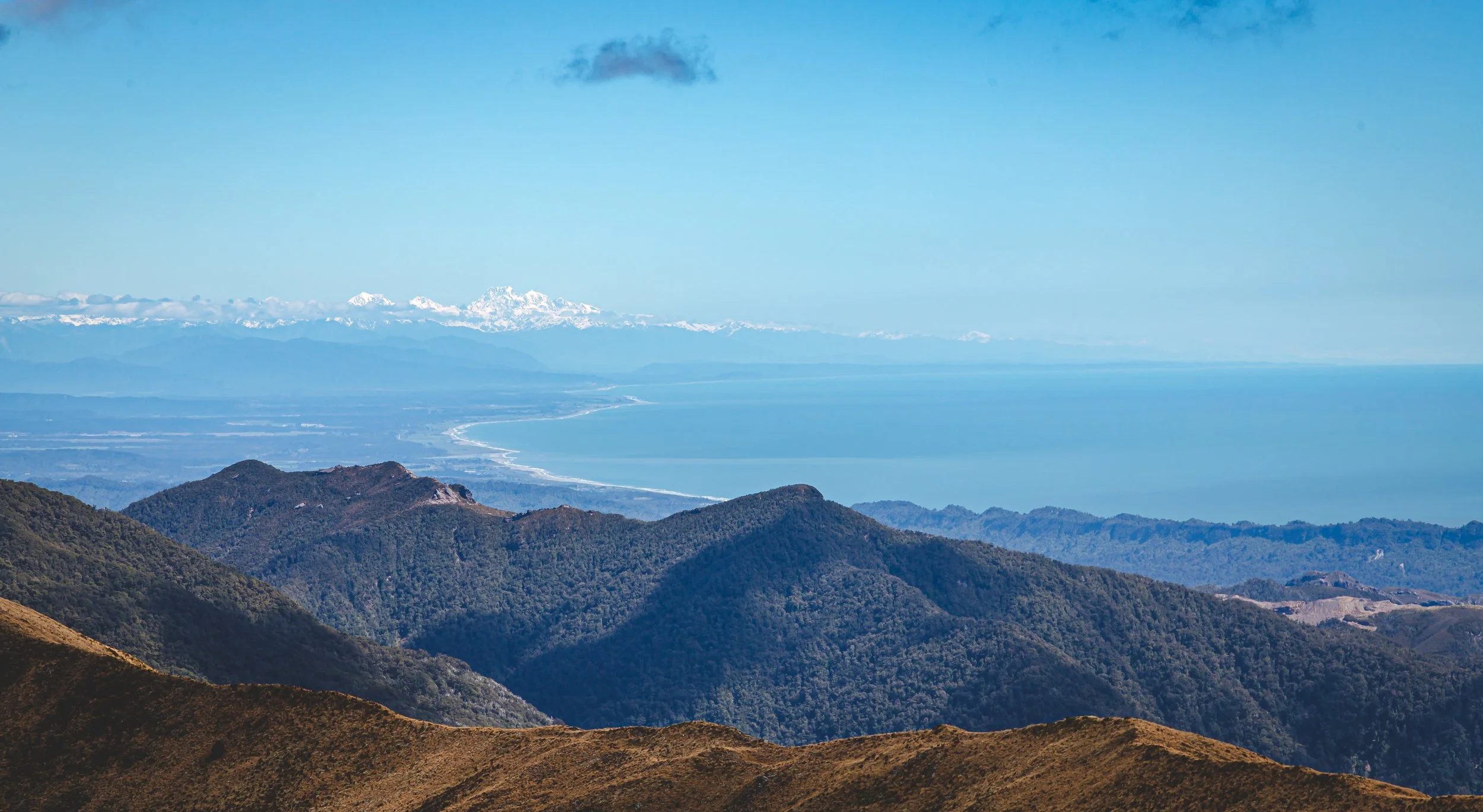 Paparoa Guided Walks: Paparoa Track, New Zealand