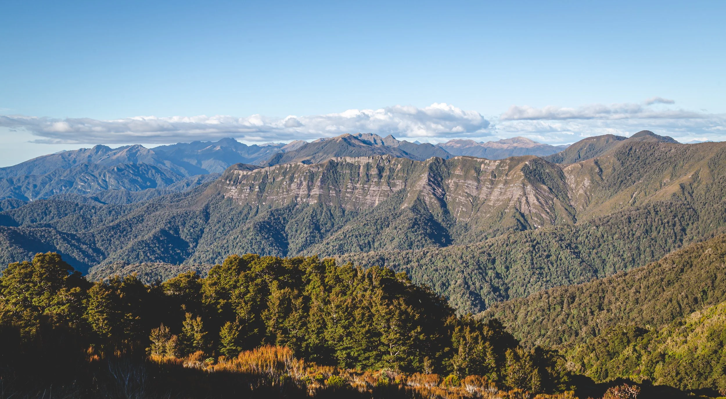 Paparoa Guided Walks: Paparoa Track, New Zealand