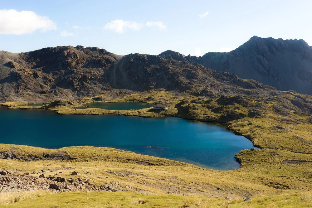 Angelus Alpine Experience — Paparoa Guided Walks