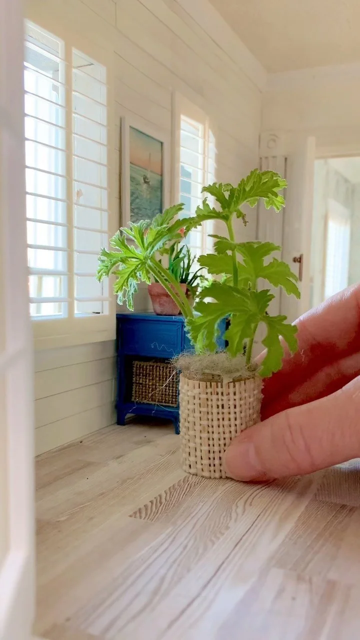 The Mini Beach House