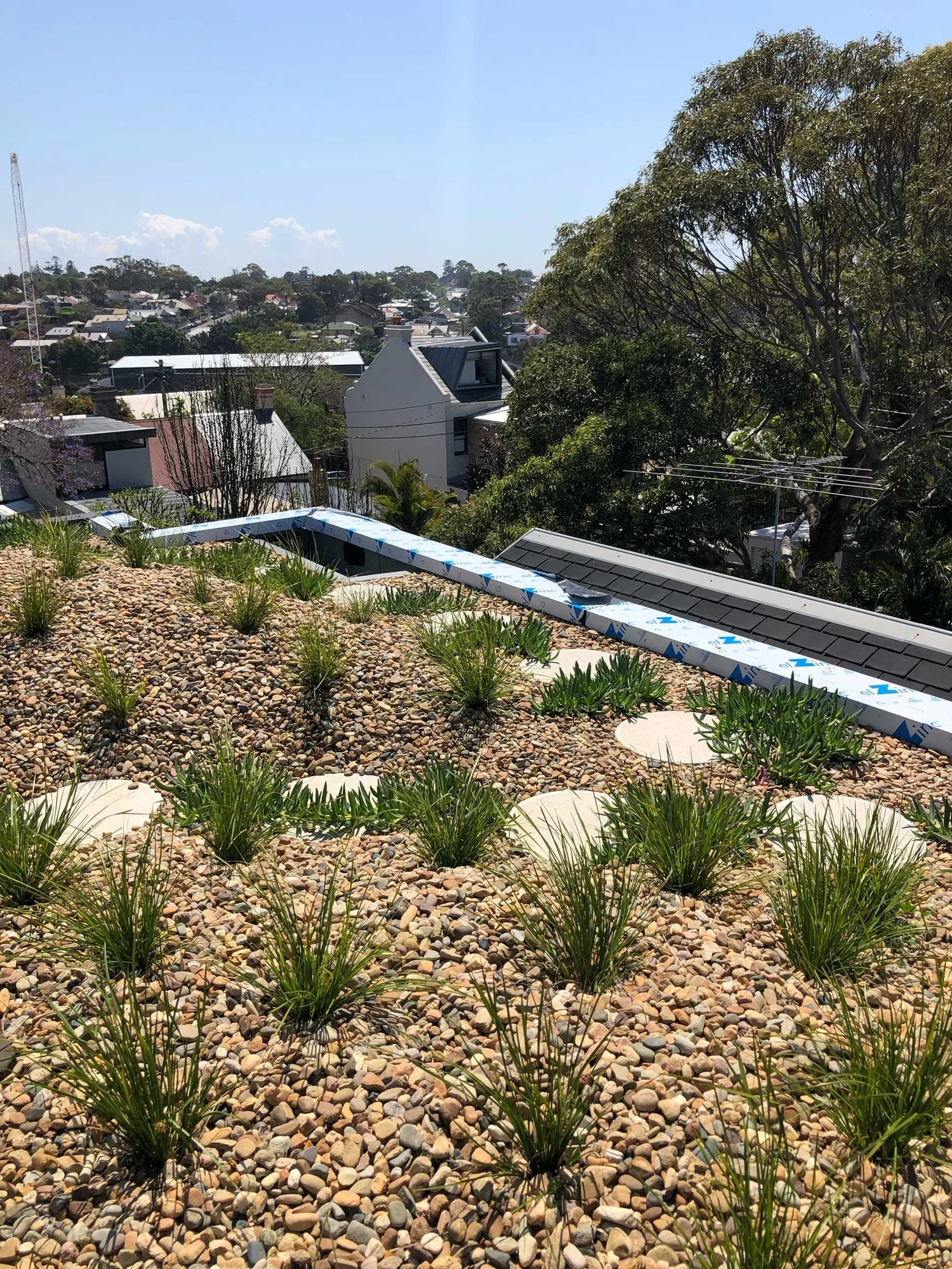 Birch Tree House — Emily Simpson Landscape Architecture