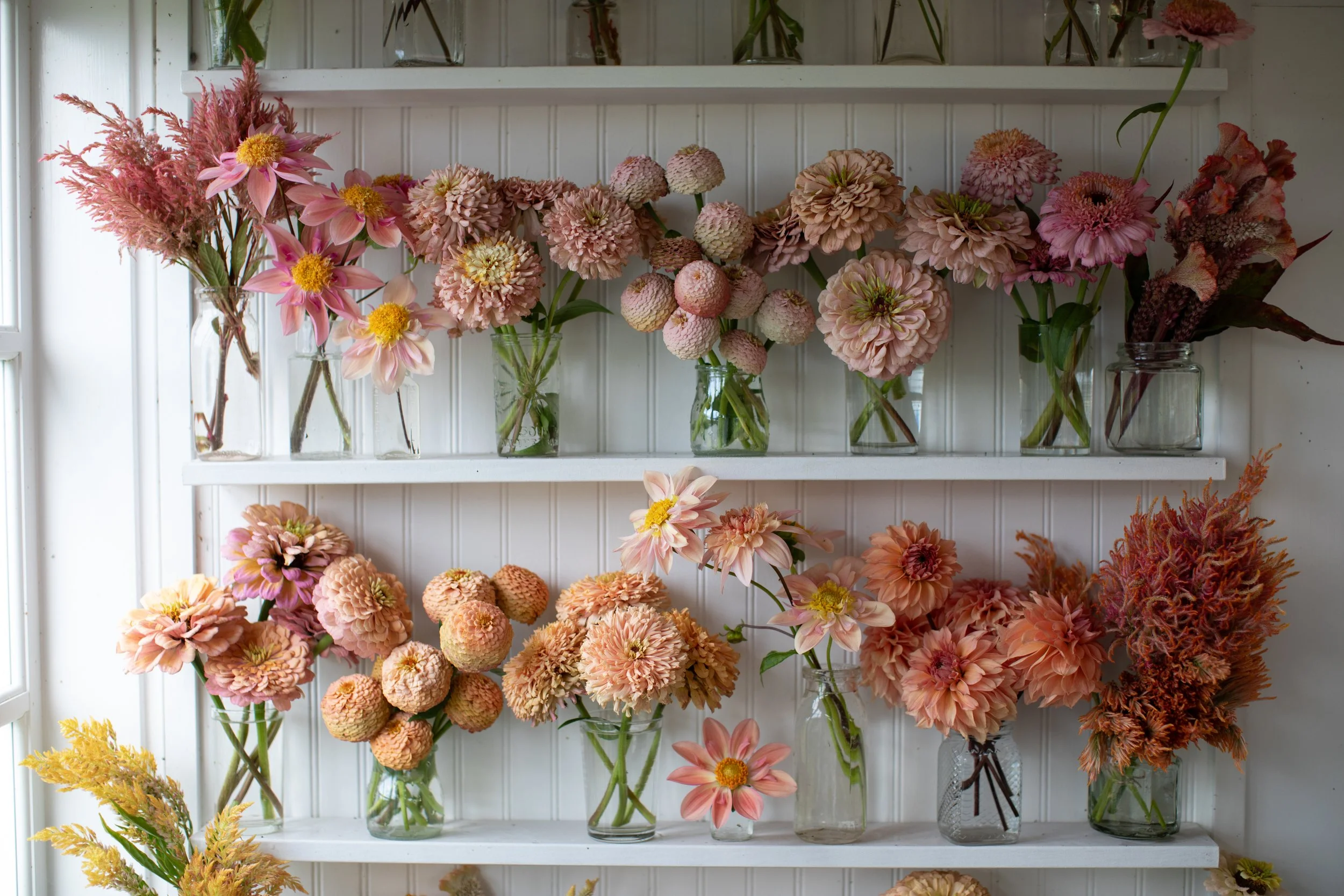 How Does Your Garden Grow? The Floret Originals - With Erin Benzakein ...