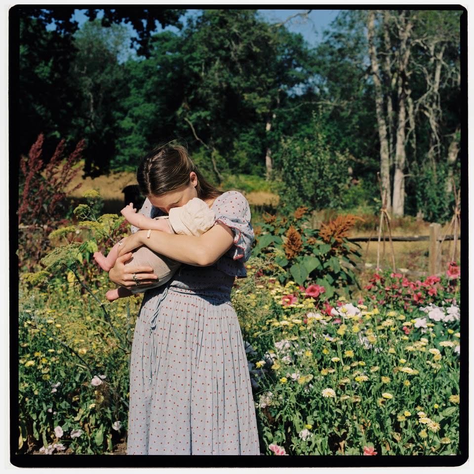The Return of The Seed Shop & Notes From the Field — ALMA | PROUST