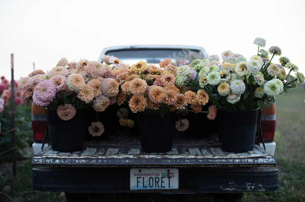 How Does Your Garden Grow? The Floret Originals - With Erin Benzakein ...