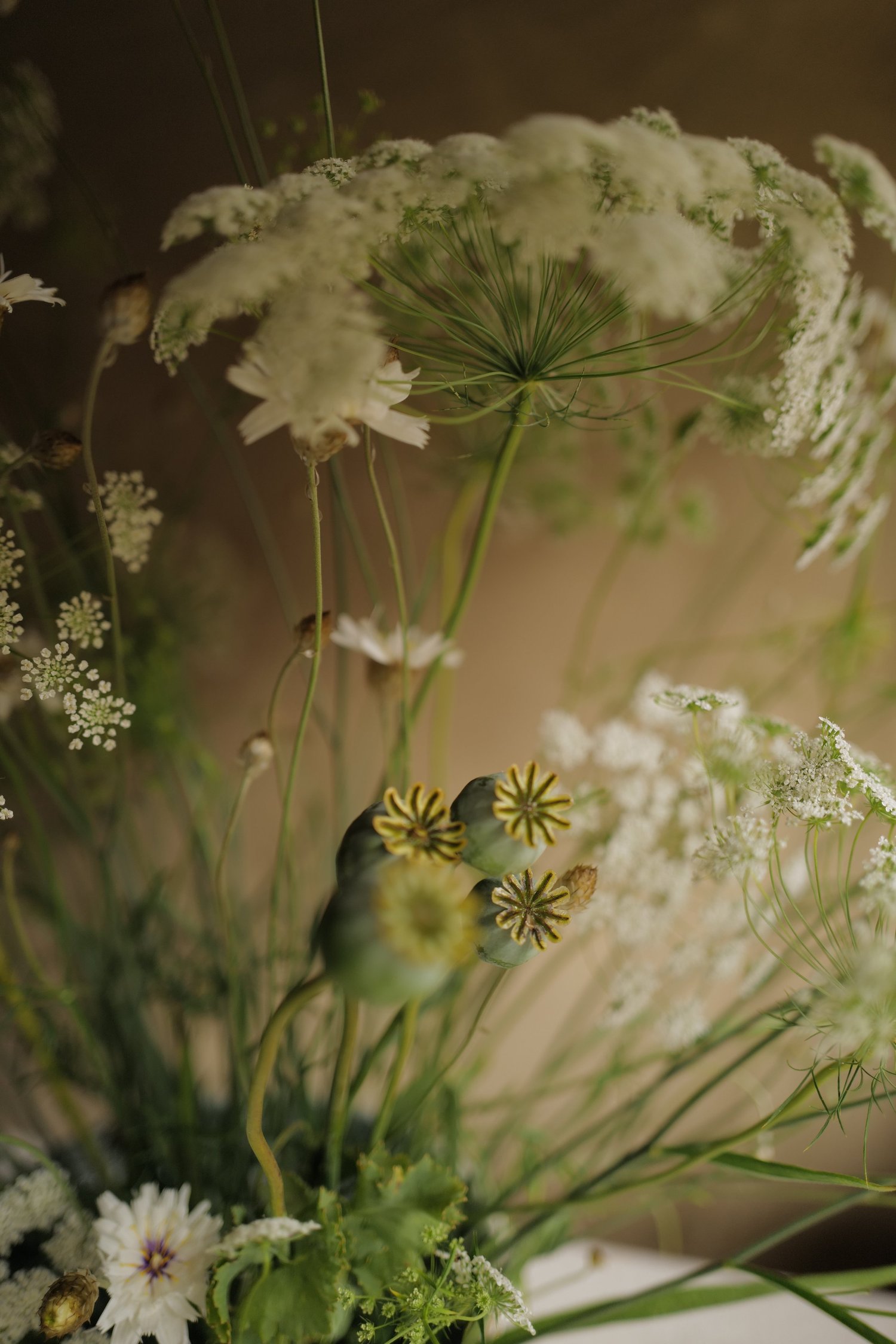 Poppy 'Amazing Grey' — ALMA | PROUST