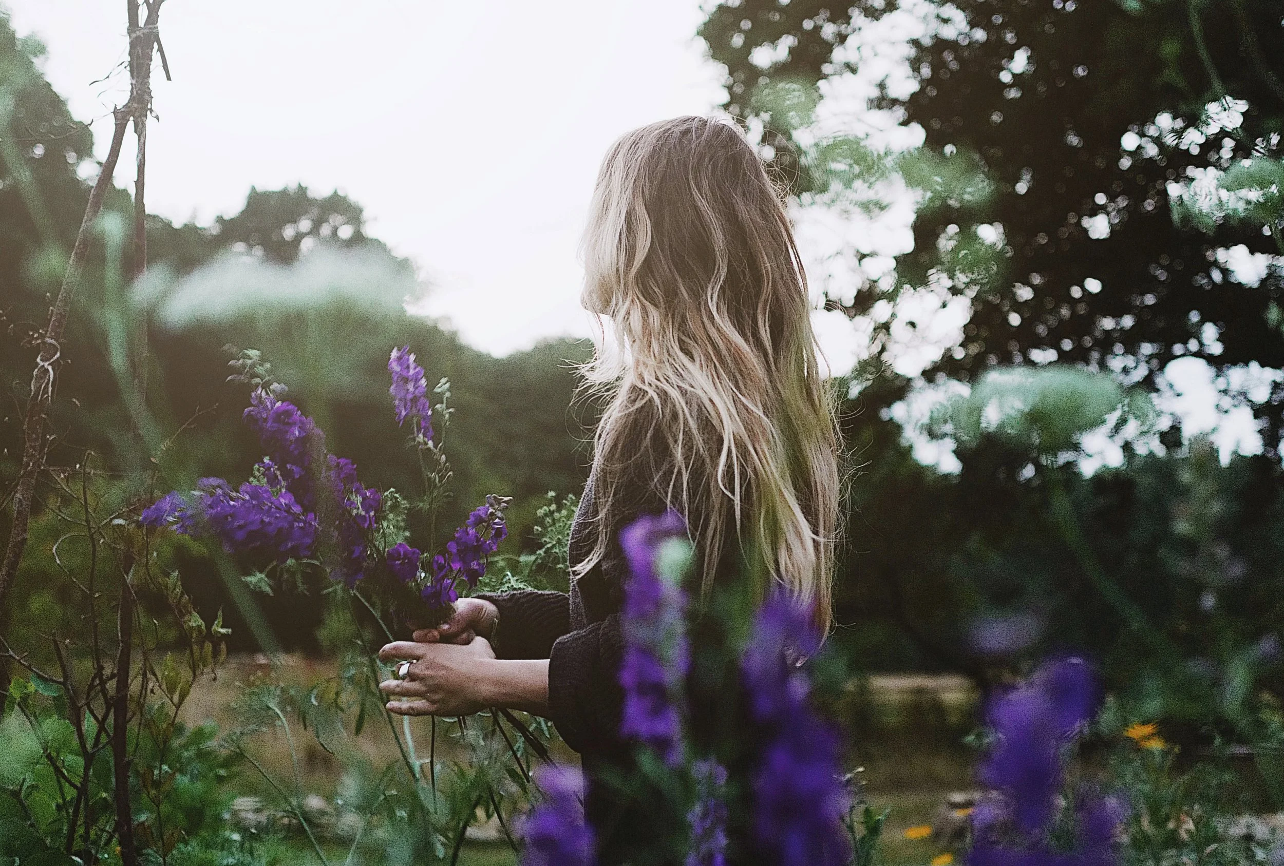 About Milli Proust — Milli Proust flowers