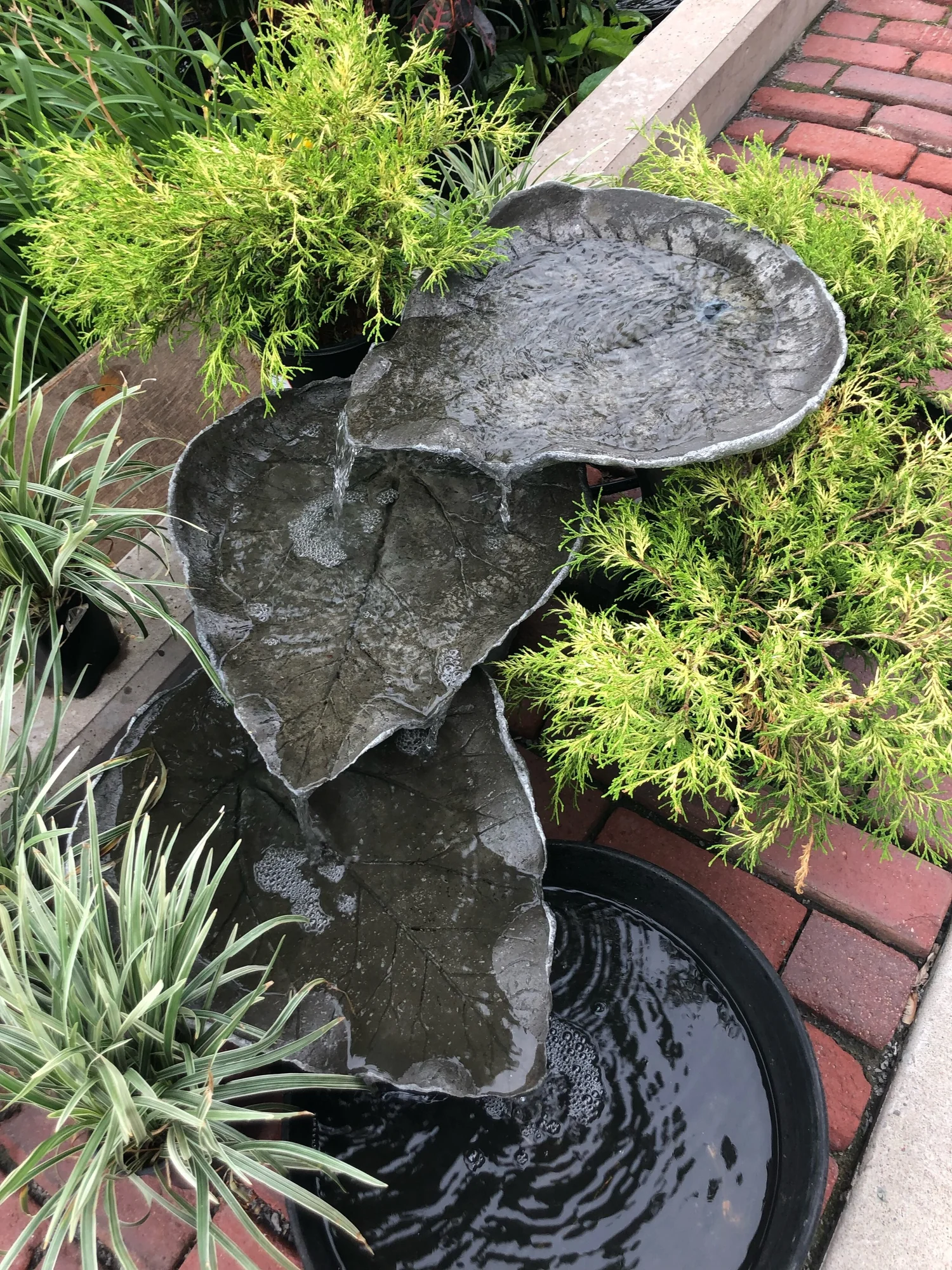 Products & Colors — Leaves by Jenney
