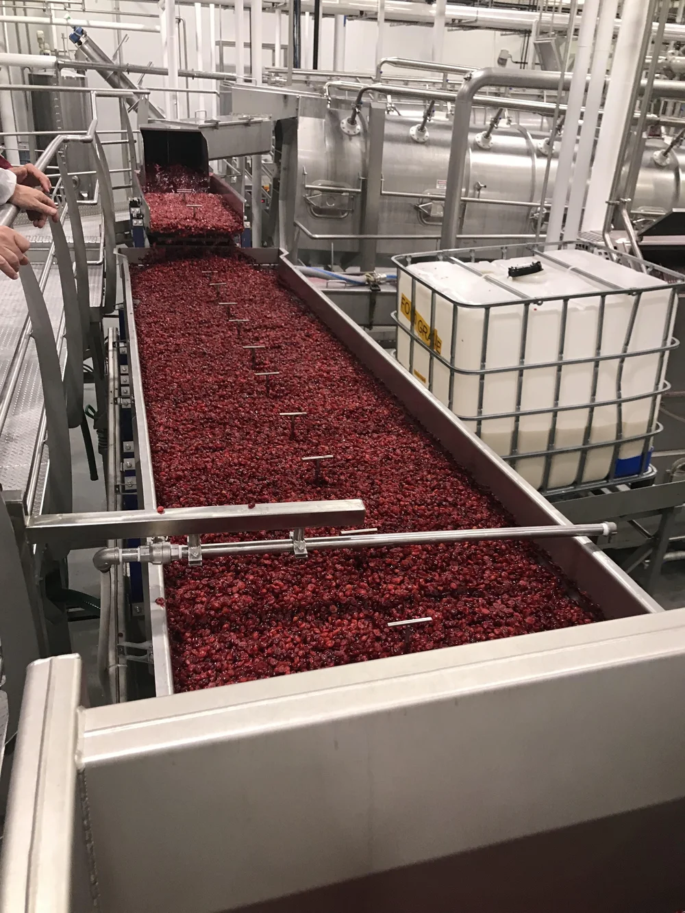 American Berry Company