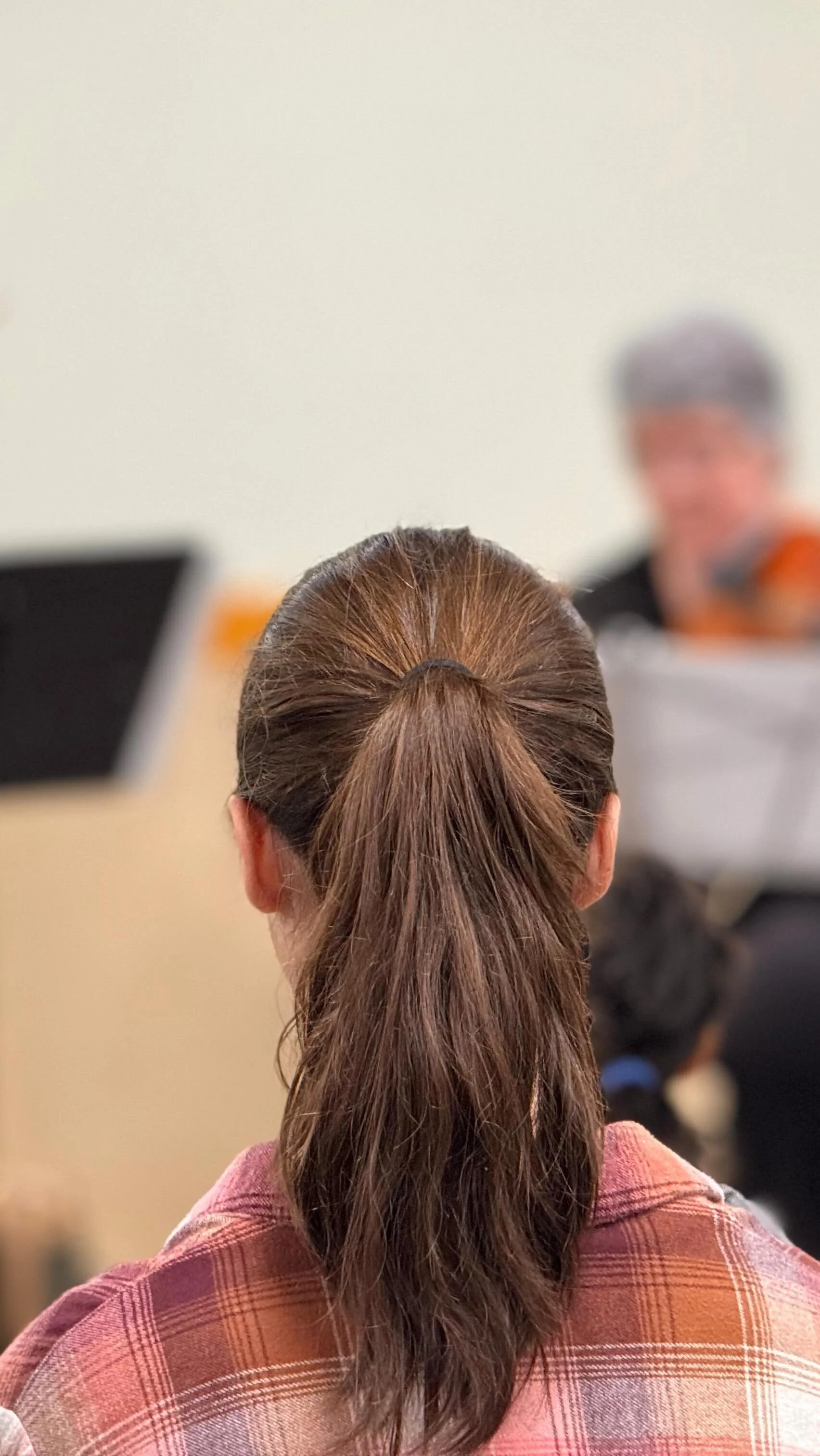 Bakersfield Symphony Orchestra