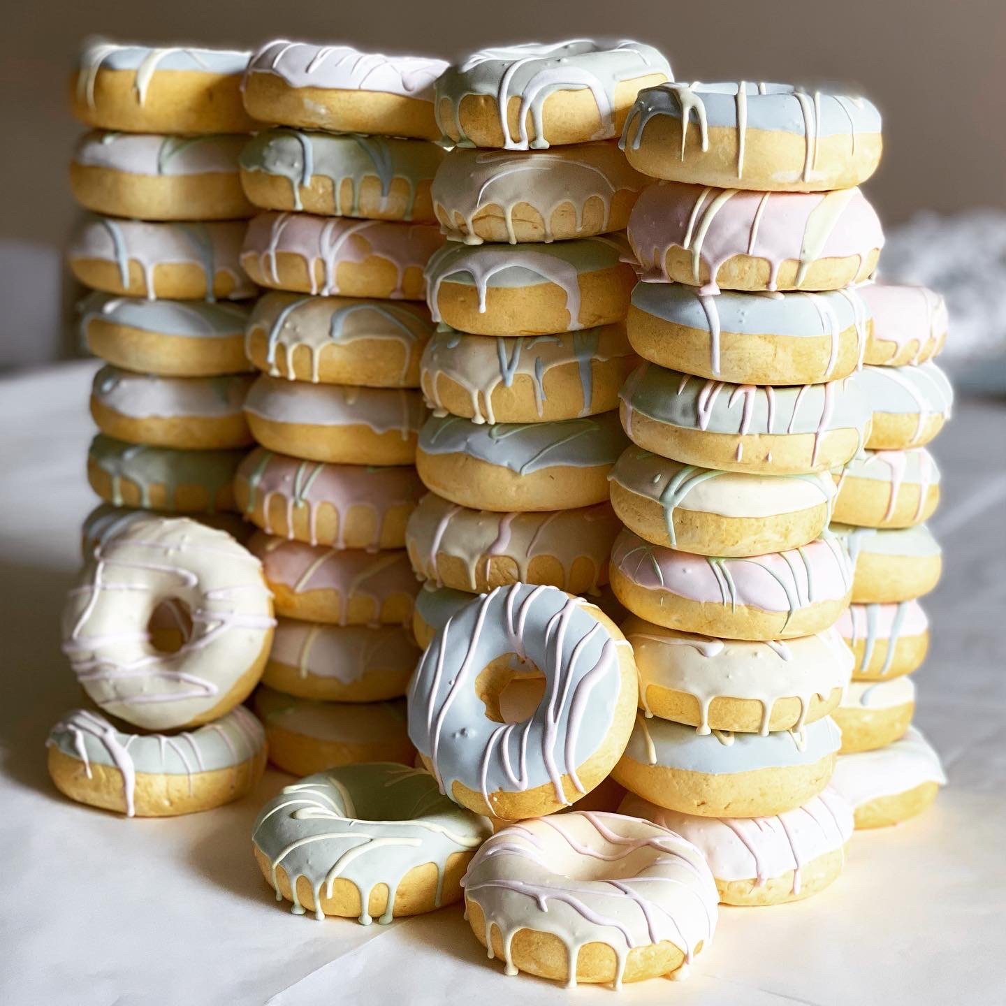 Extraordinary Fake Food for display props.