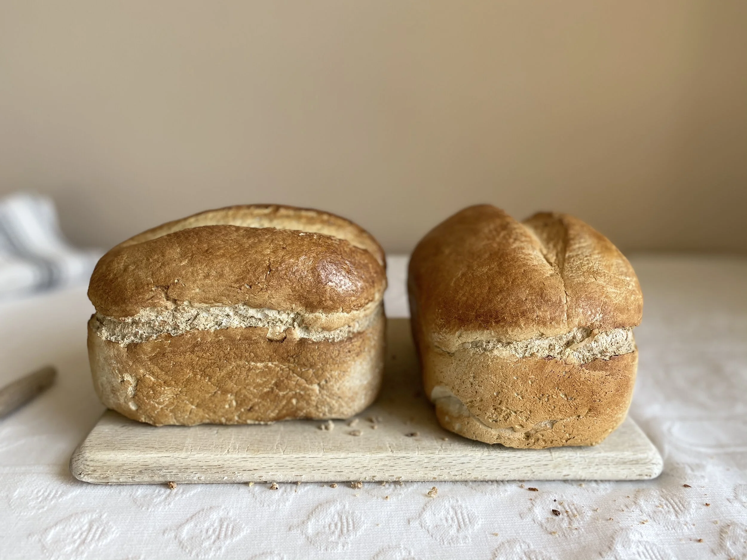Extraordinary Fake Food for display props.