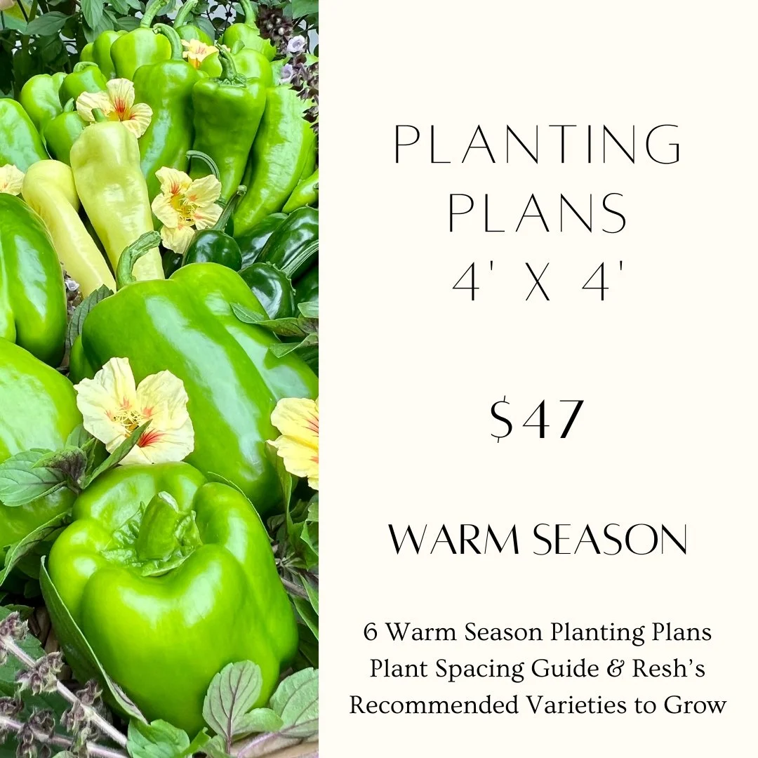 Vegetable Garden Planting Plans — Resh Gala