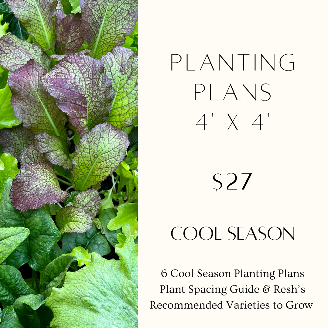 Cool Season Planting Plans — Resh Gala