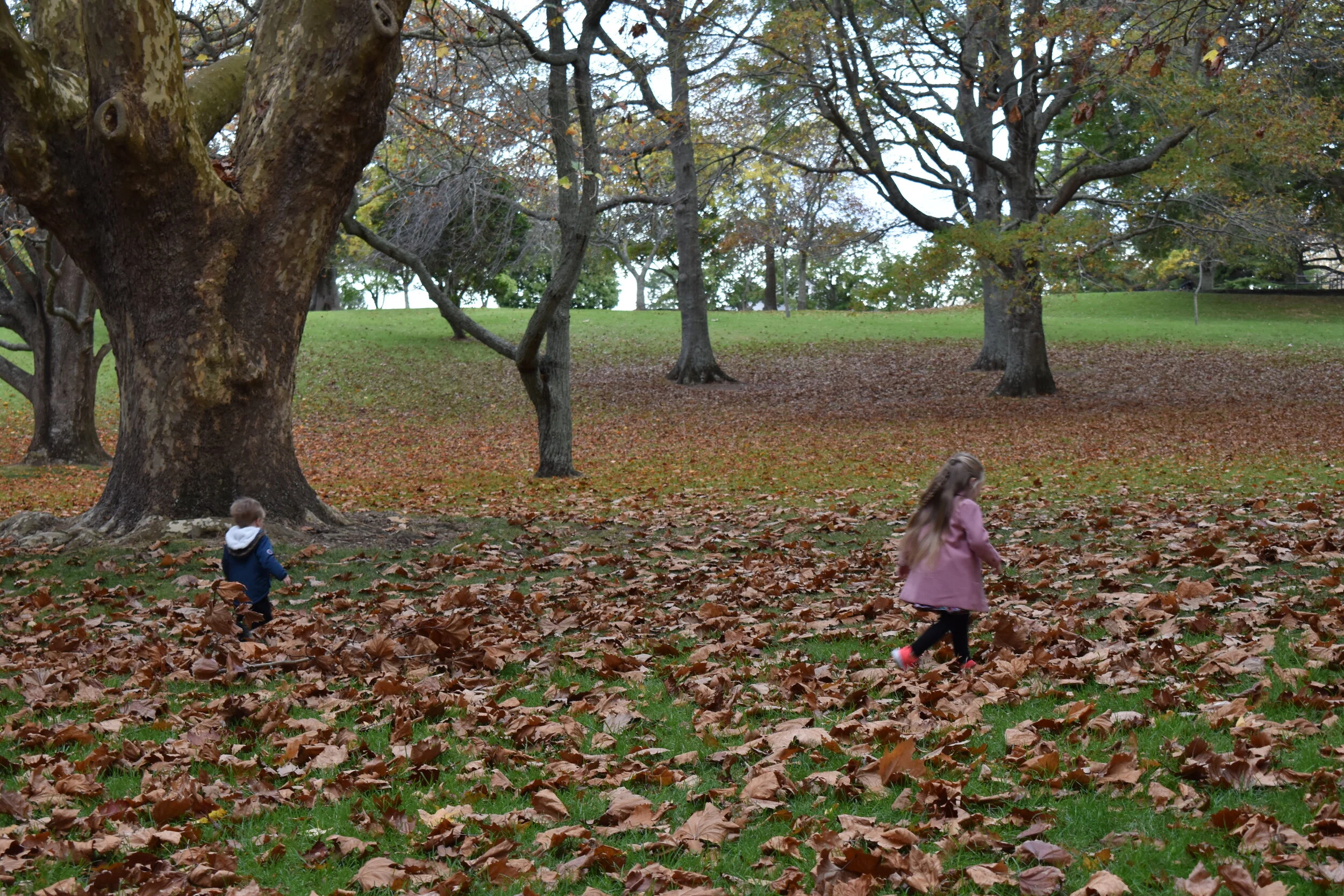 5 tips for outdoor play with play ideas to match — Easy Play Ideas