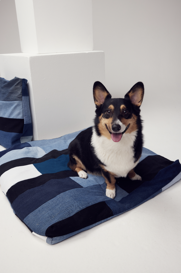 thredUP Launches First-Ever Upcycled Holiday Collection Starring Fran ...