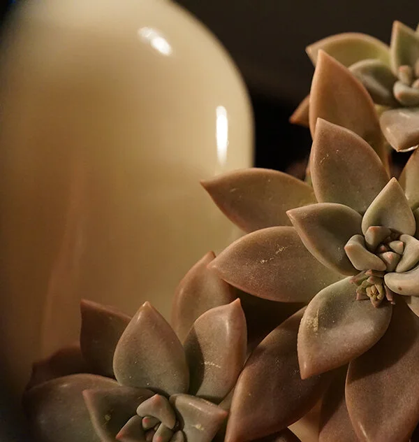 Angelpaste Miraculous Skincare — Angelpaste