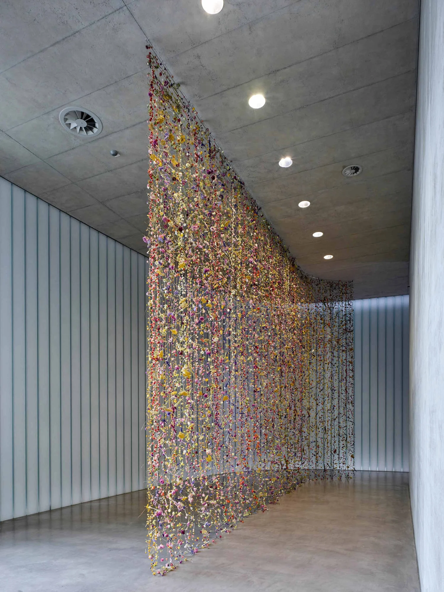 Captured — Rebecca Louise Law