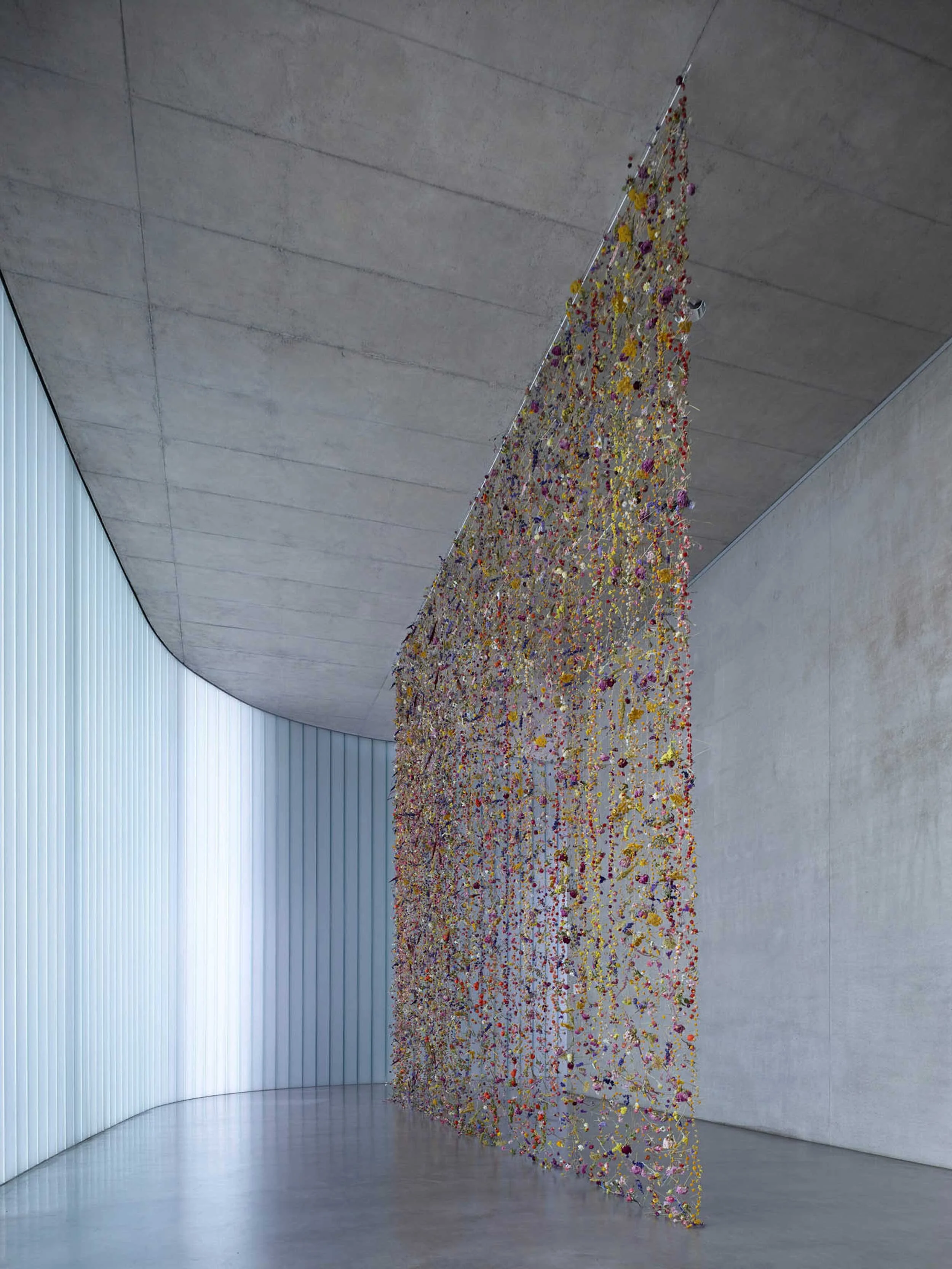 Captured — Rebecca Louise Law