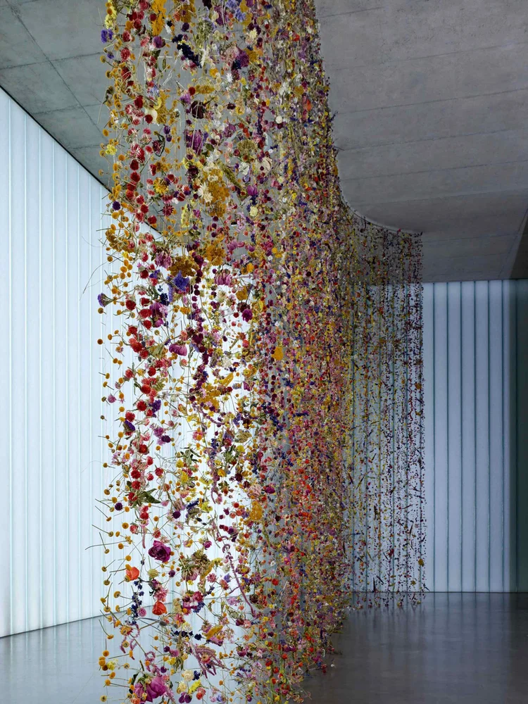 Captured — Rebecca Louise Law