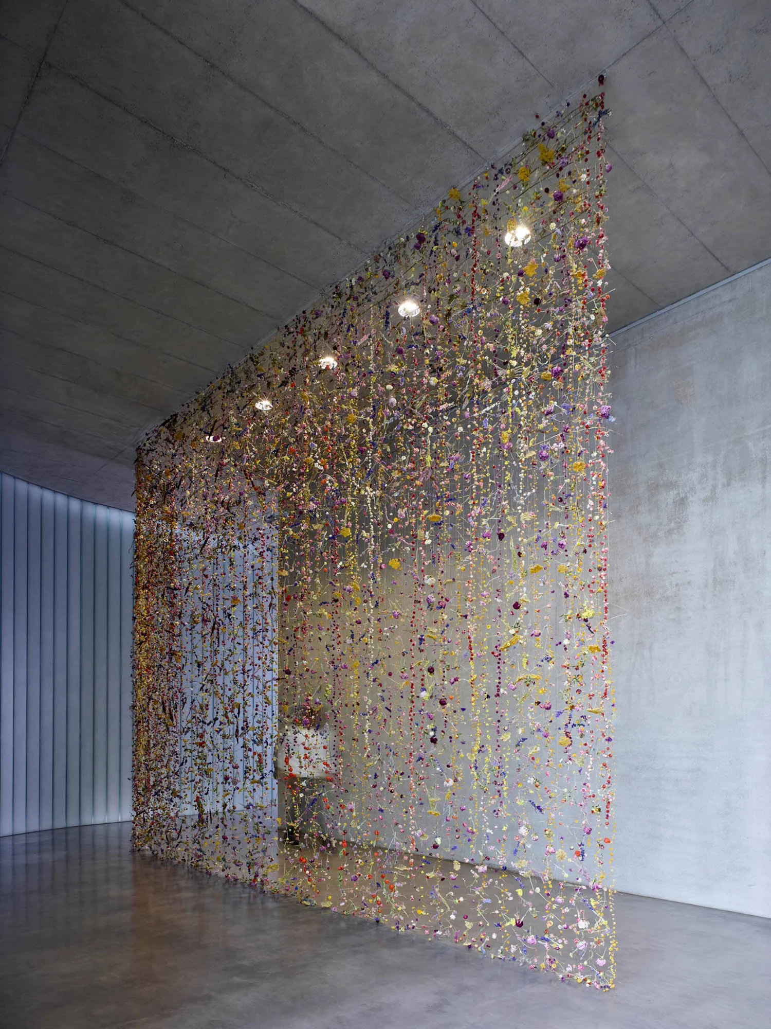 Captured — Rebecca Louise Law