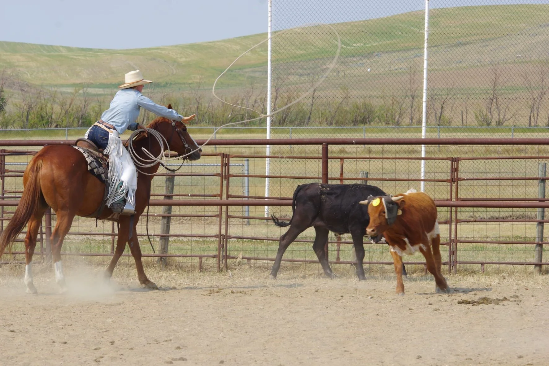 Schedule — Canadian Ranch Roping Association