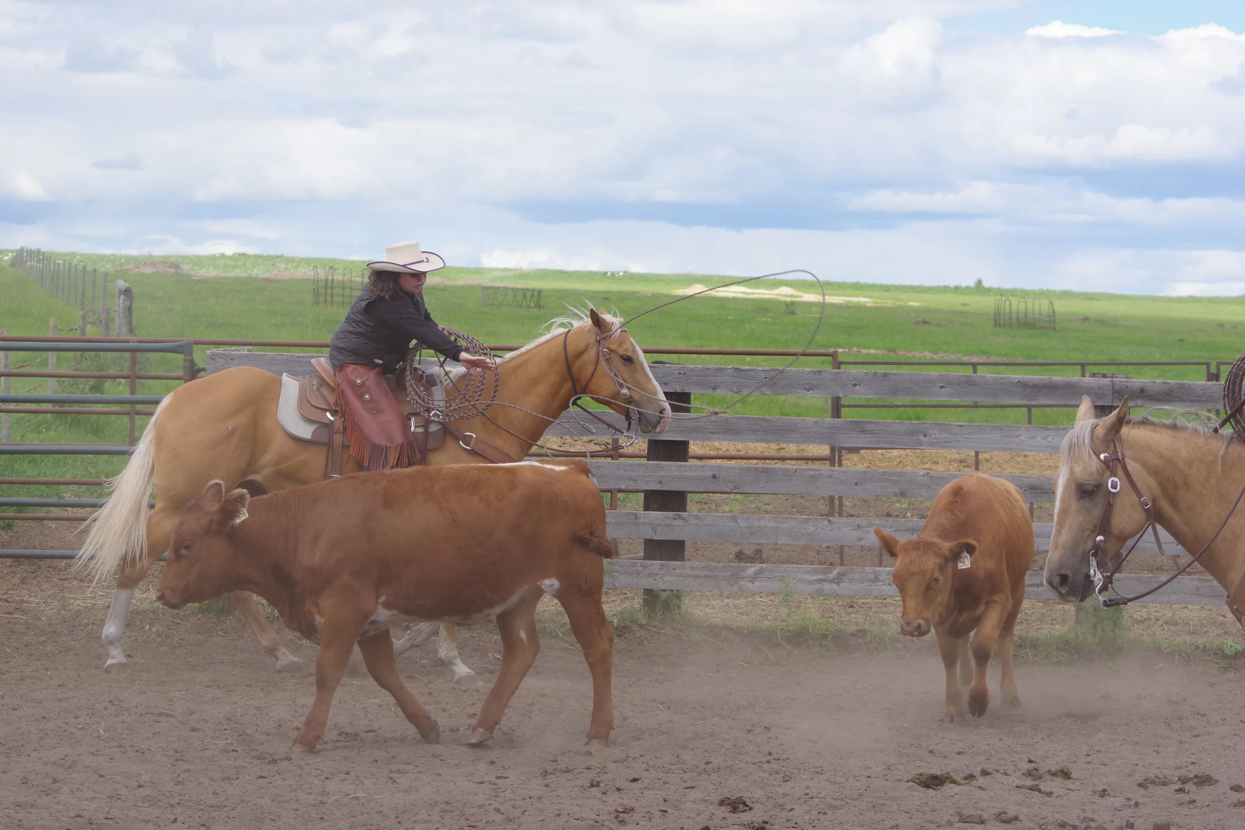 Schedule — Canadian Ranch Roping Association