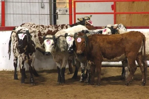 Schedule — Canadian Ranch Roping Association