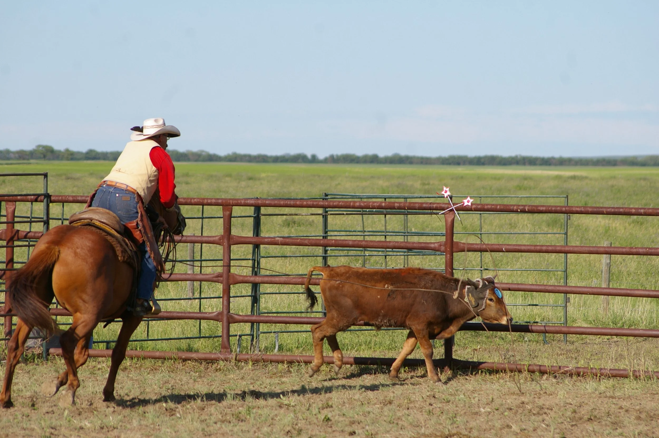 Schedule — Canadian Ranch Roping Association