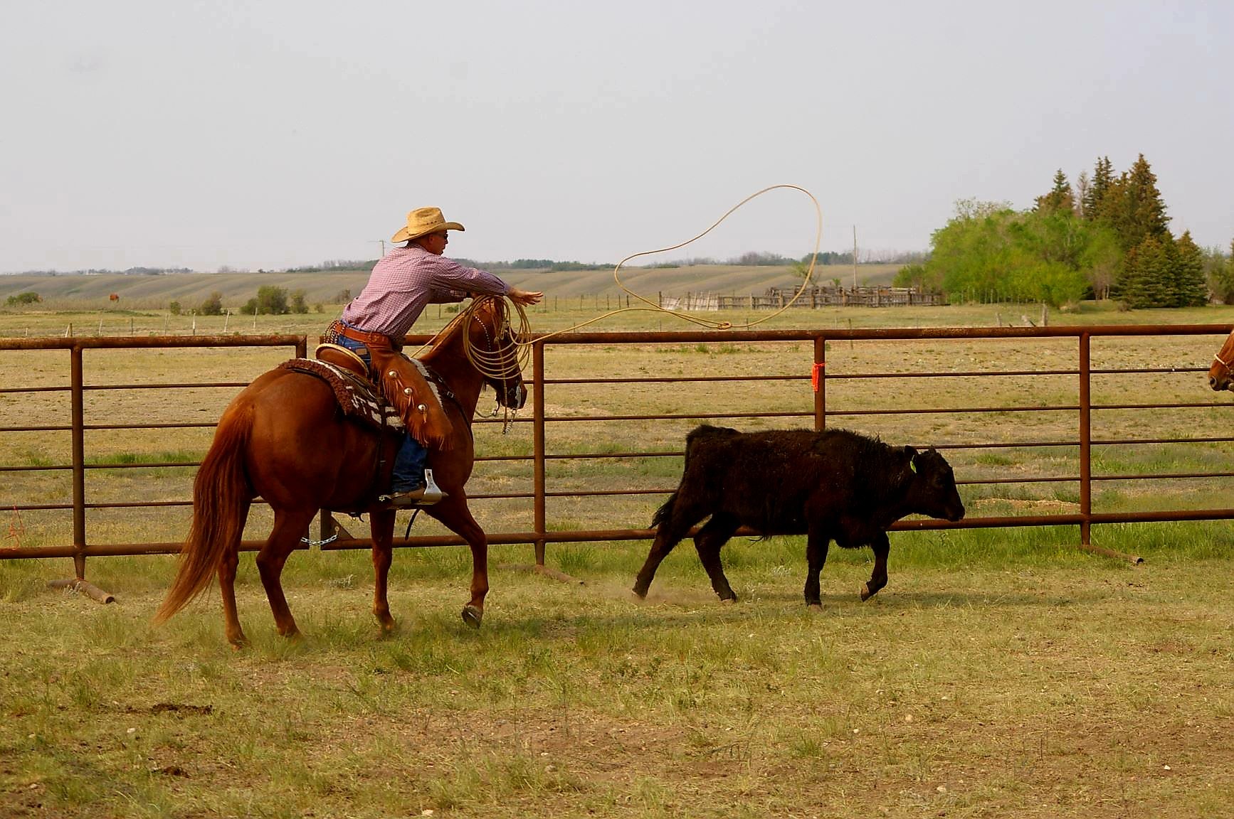 Schedule — Canadian Ranch Roping Association