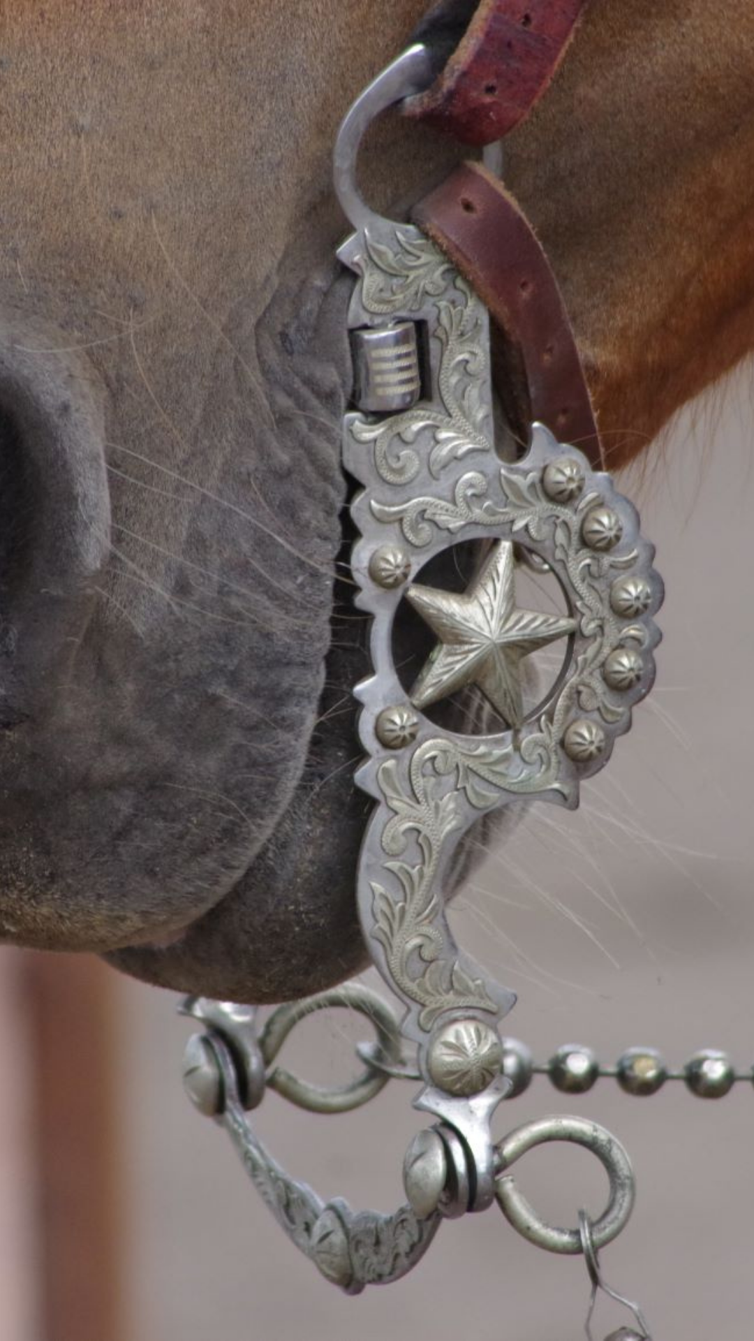 Schedule — Canadian Ranch Roping Association