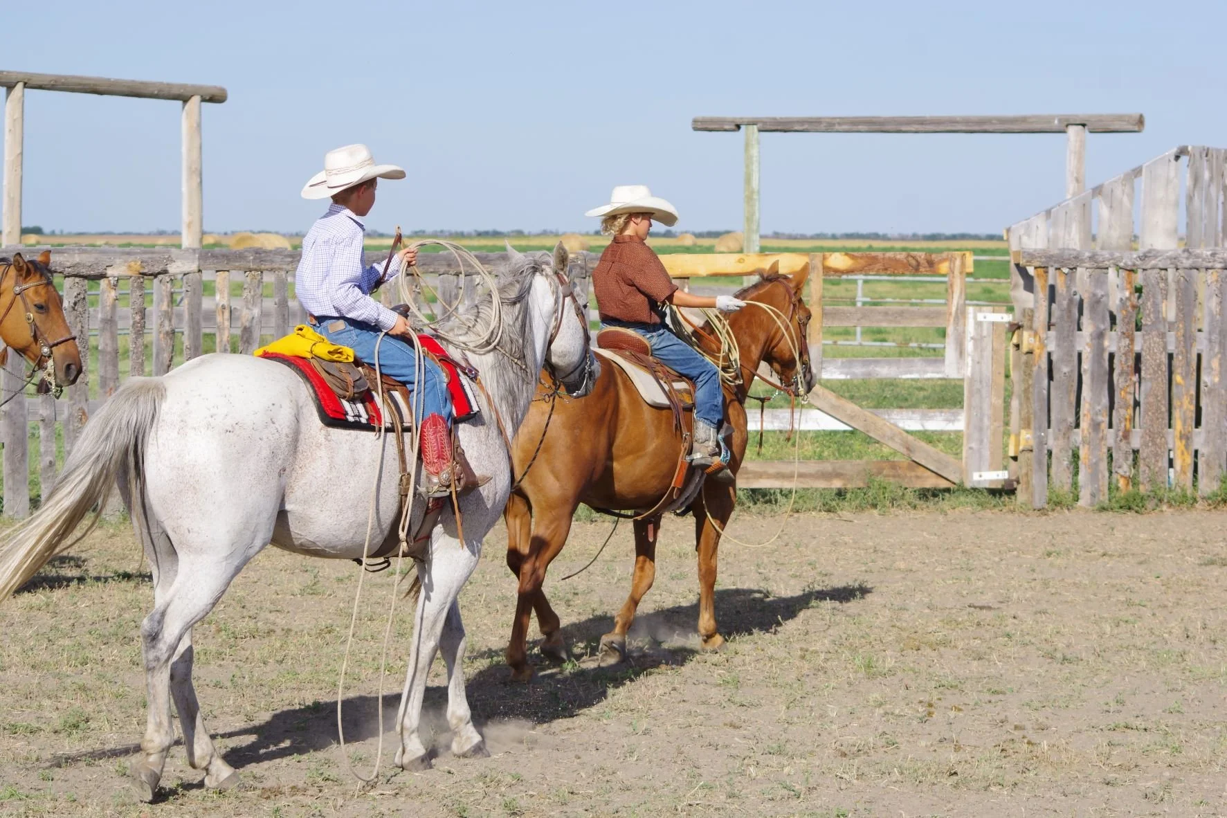 Schedule — Canadian Ranch Roping Association