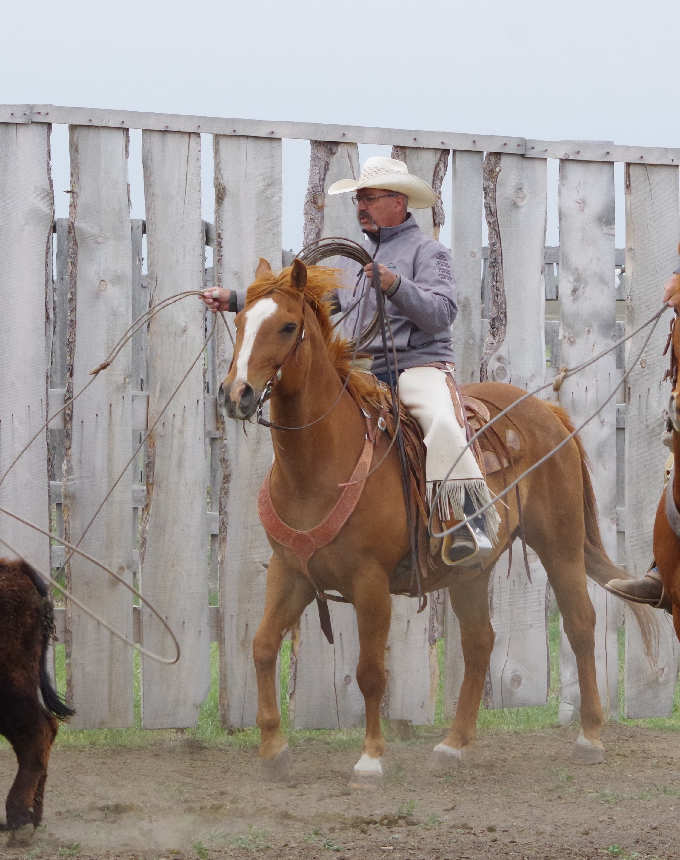 Schedule — Canadian Ranch Roping Association