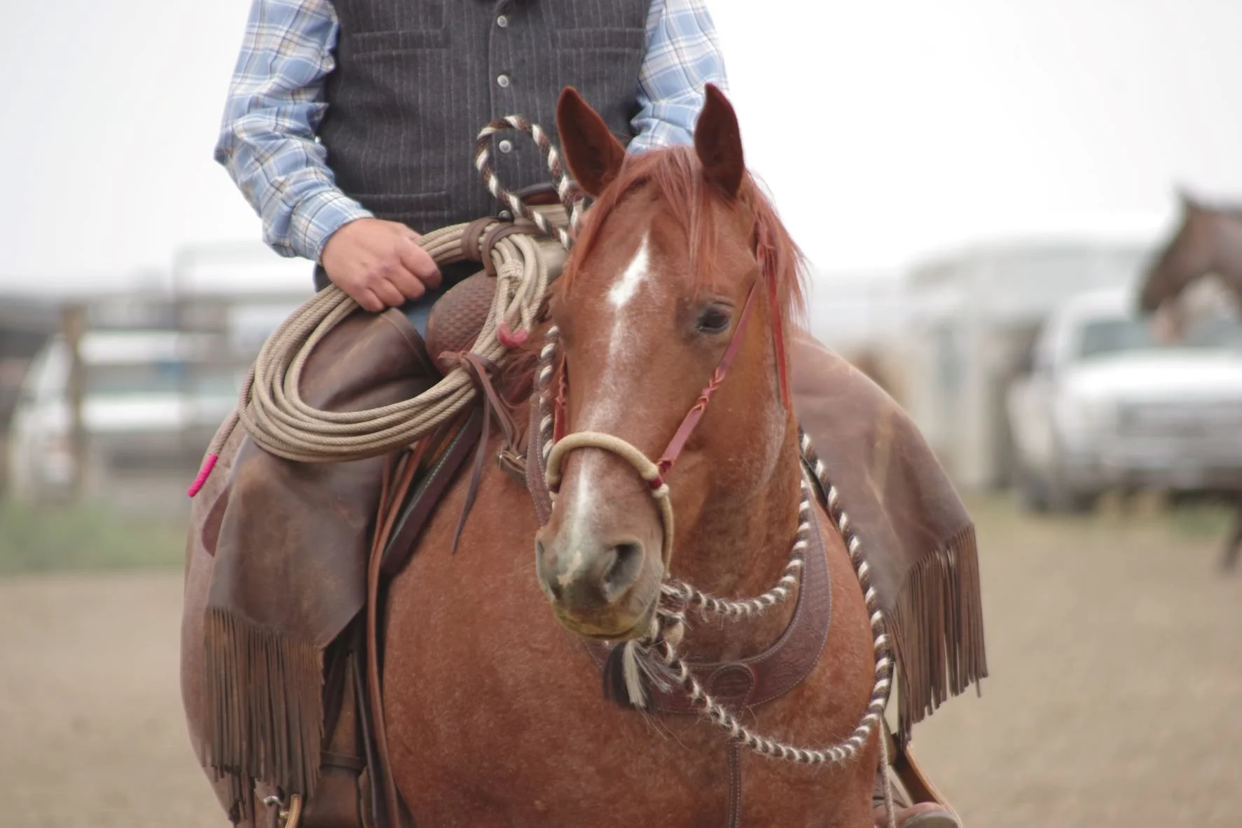 Schedule — Canadian Ranch Roping Association