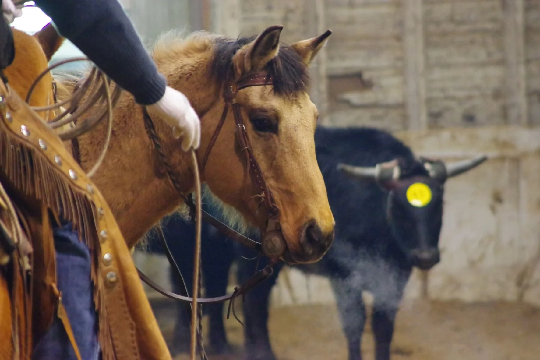 Schedule — Canadian Ranch Roping Association