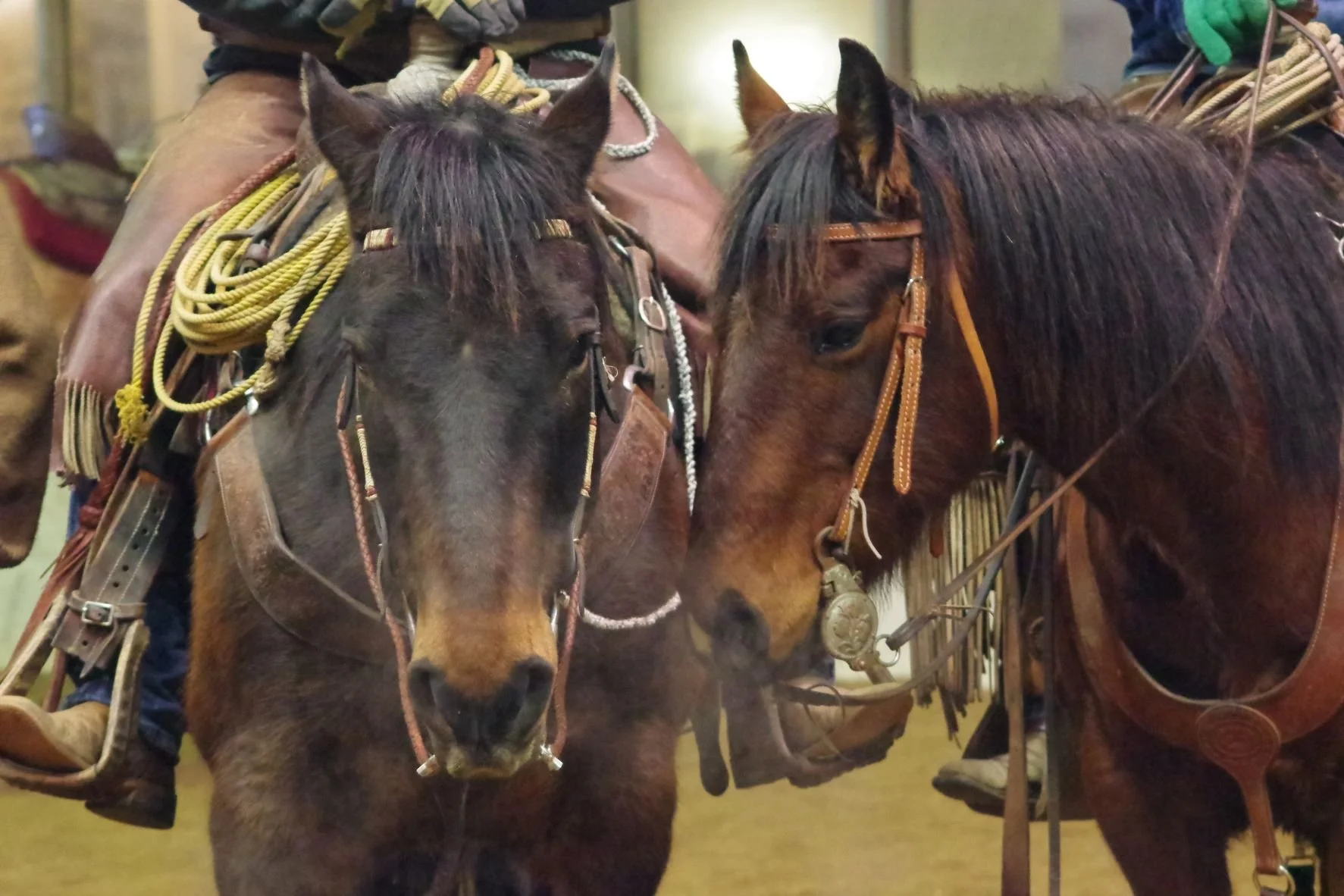 Schedule — Canadian Ranch Roping Association