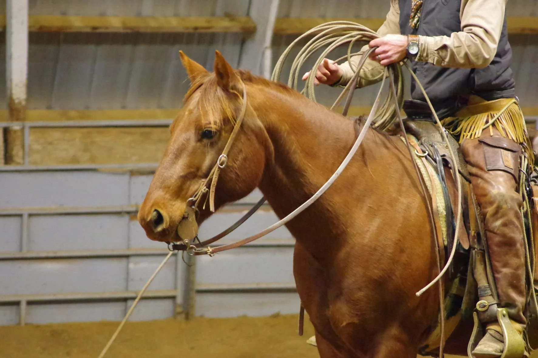 Schedule — Canadian Ranch Roping Association
