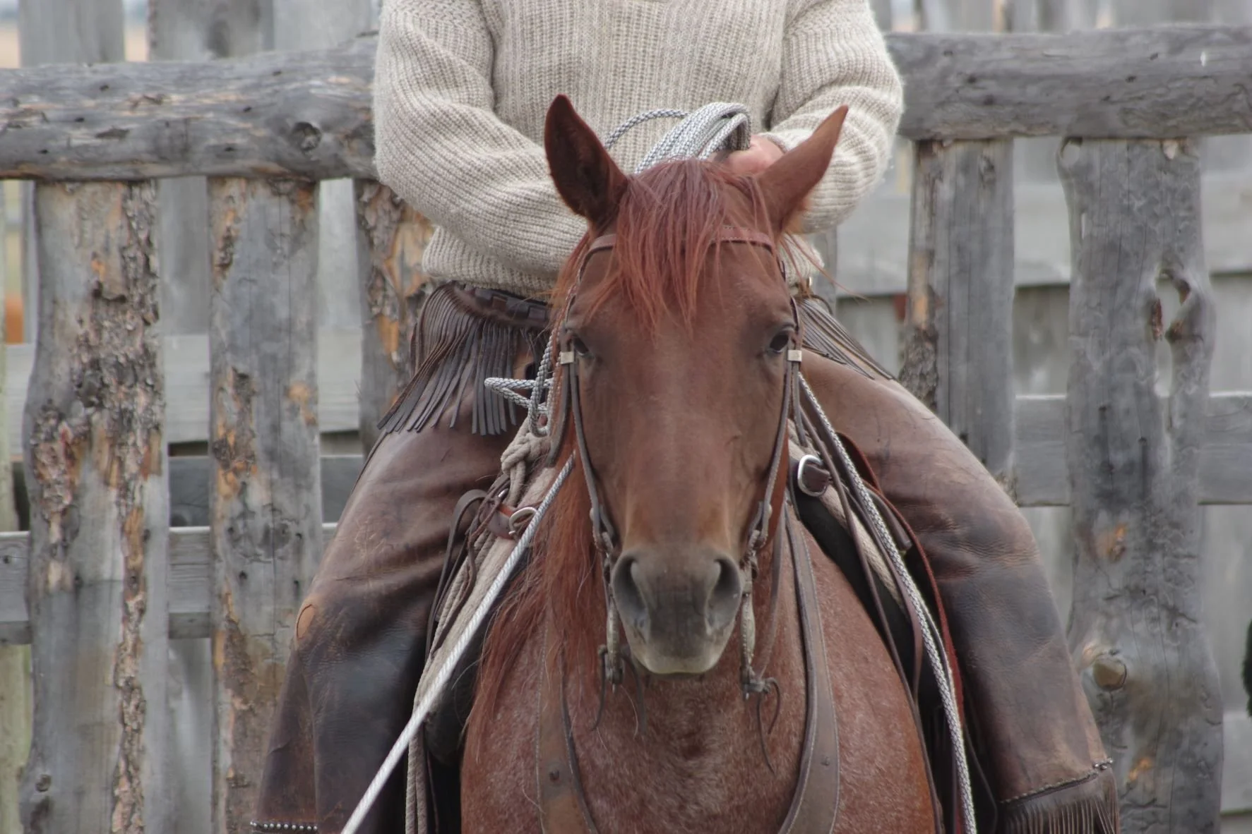 Schedule — Canadian Ranch Roping Association