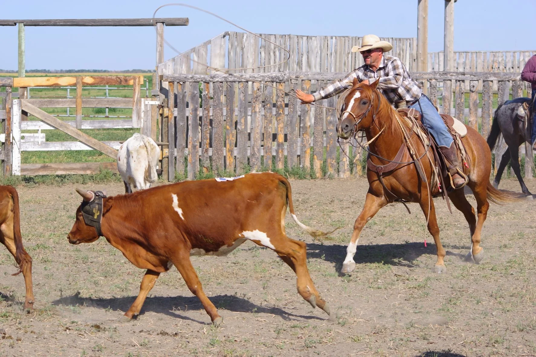 CRRA Executive & Board of Directors — Canadian Ranch Roping Association