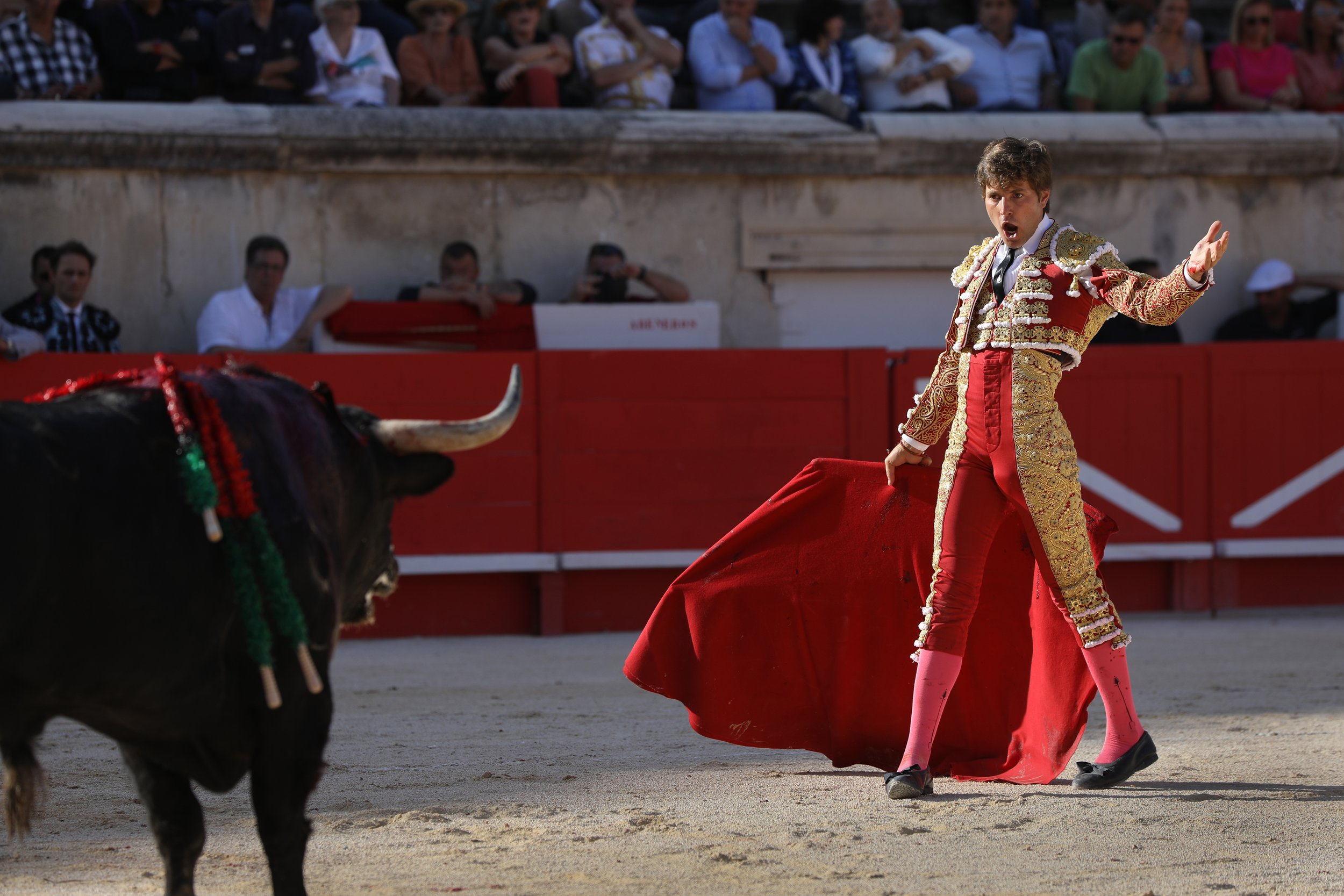 The Matador Rick Findler Photography