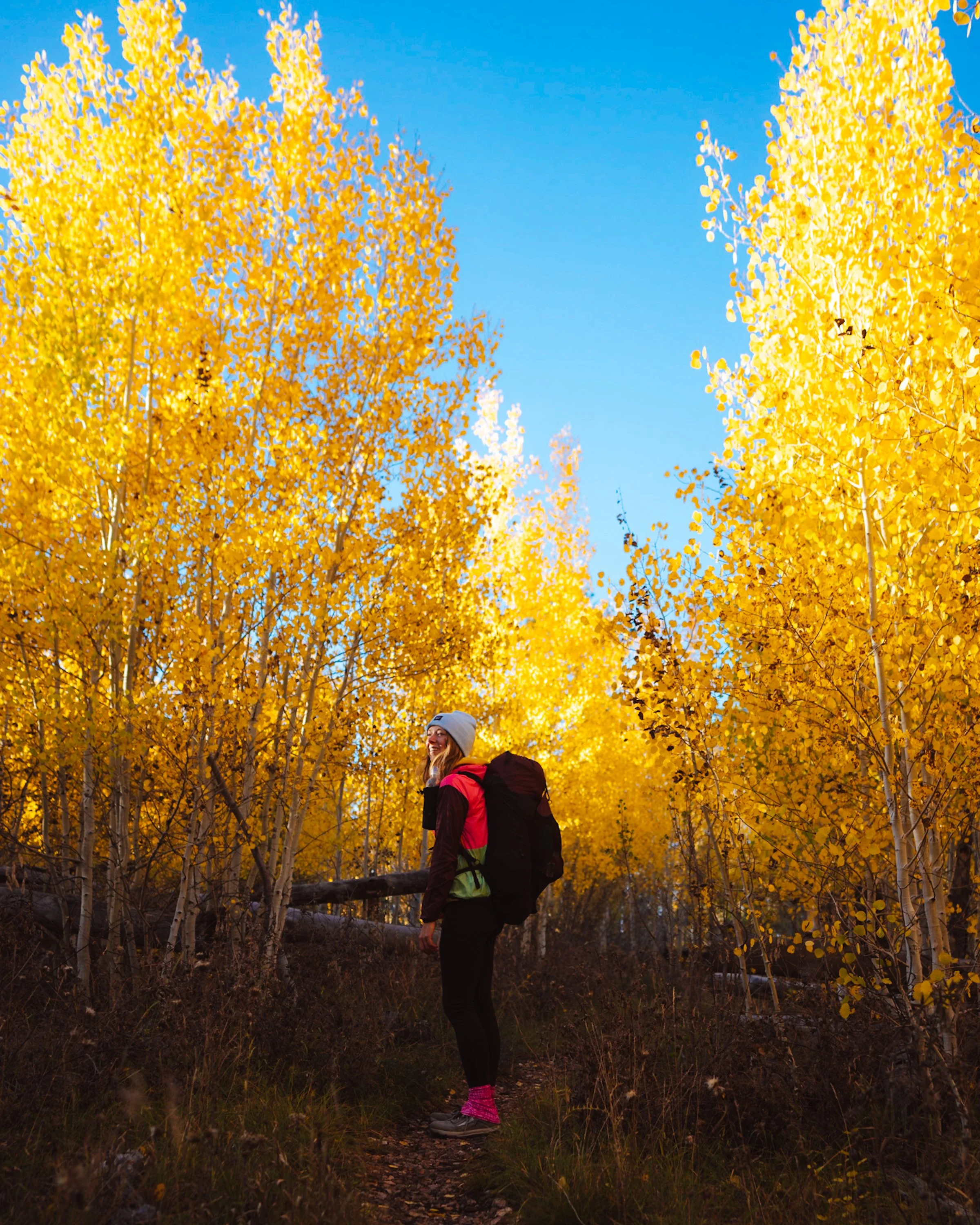 Ultimate Arizona Trail (AZT) Resupply Guide with Spreadsheet for ...