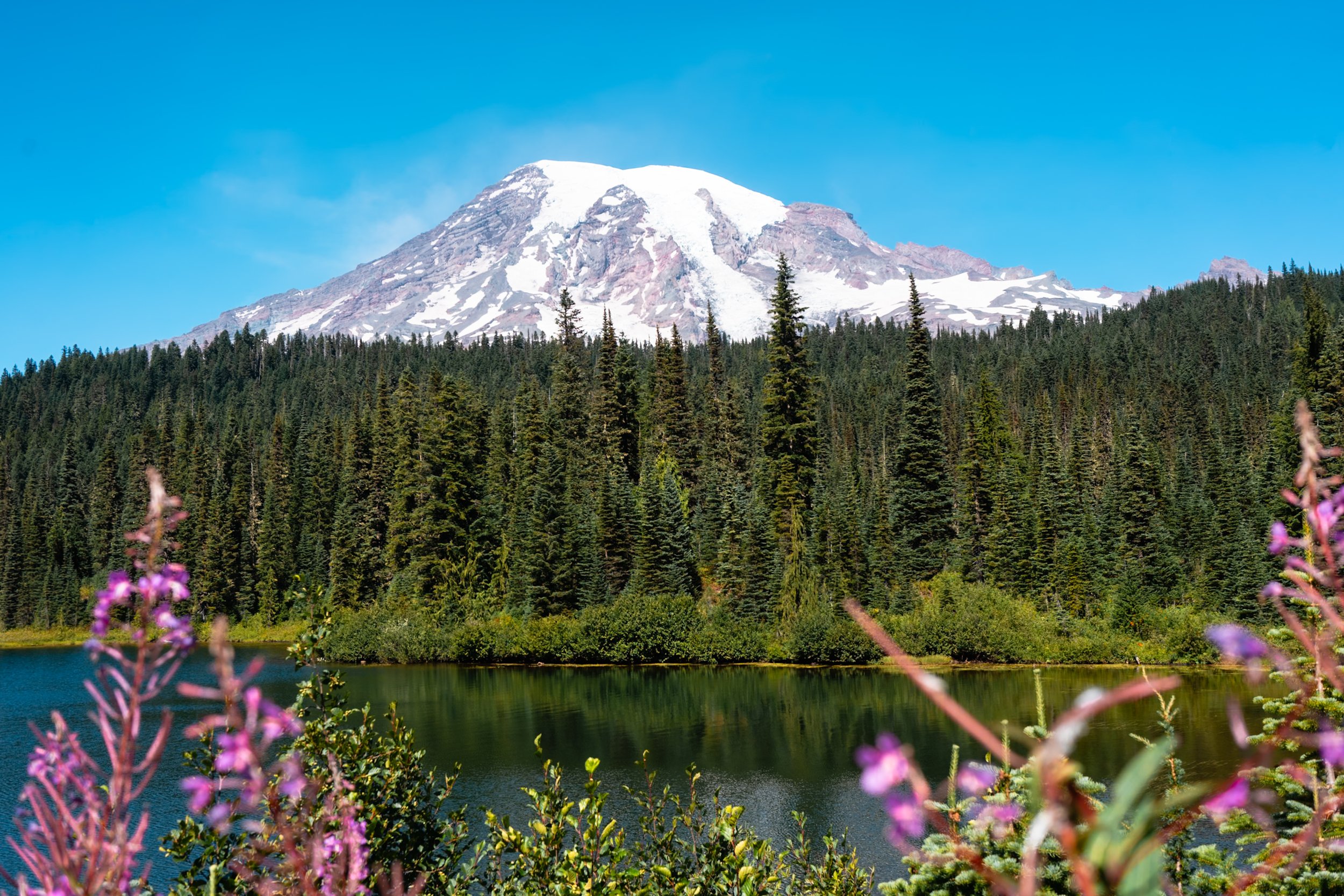 My 6-Day Wonderland Trail Itinerary: A Day-by-Day Breakdown of my Thru ...