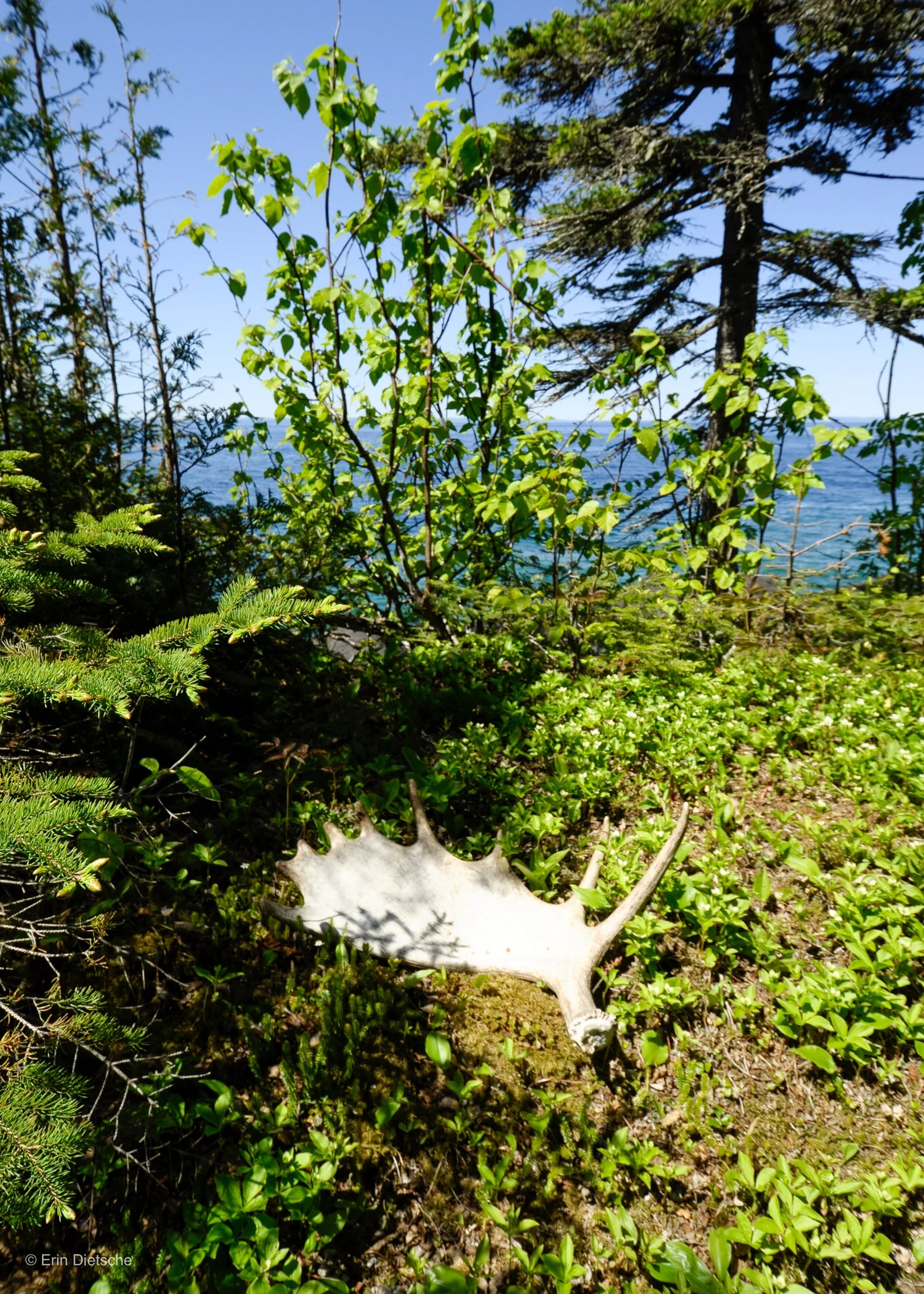 Backpacking Isle Royale National Park — Erin Exploring