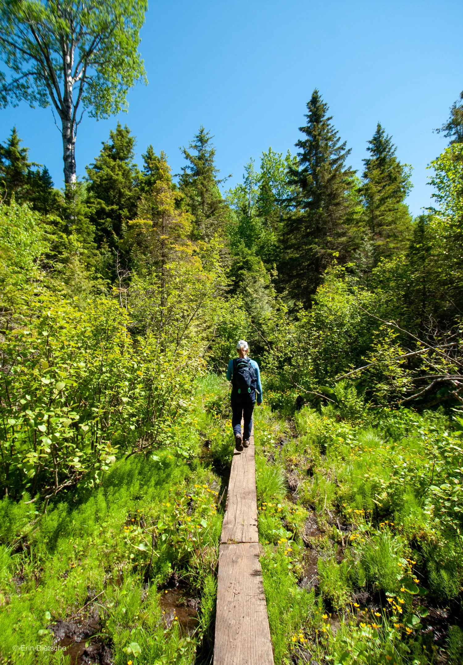 Backpacking Isle Royale National Park — Erin Exploring