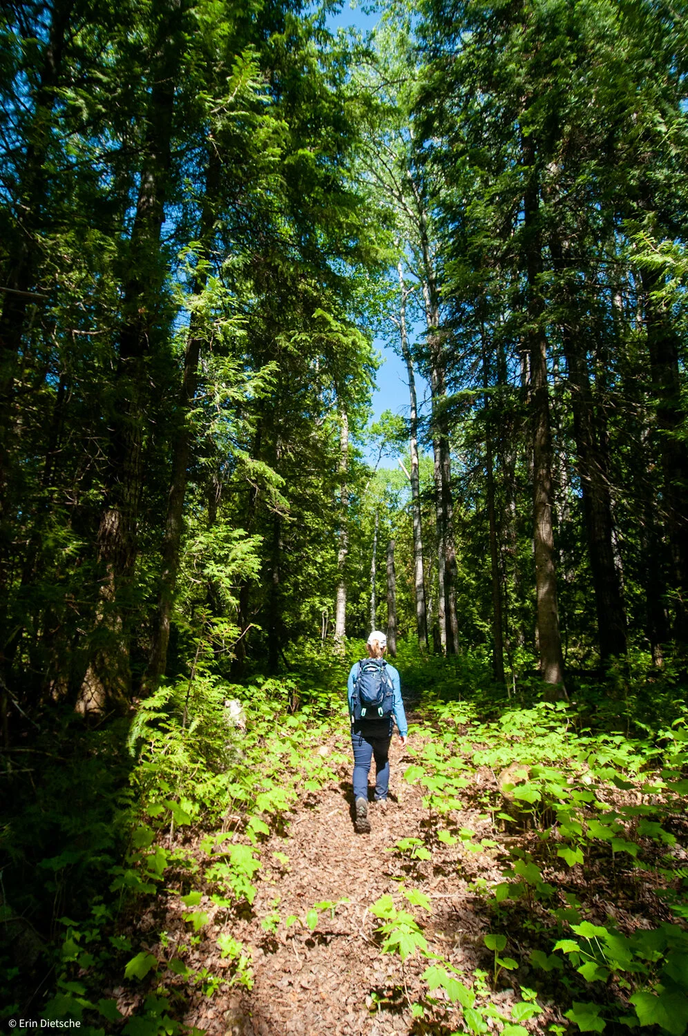 Backpacking Isle Royale National Park — Erin Exploring