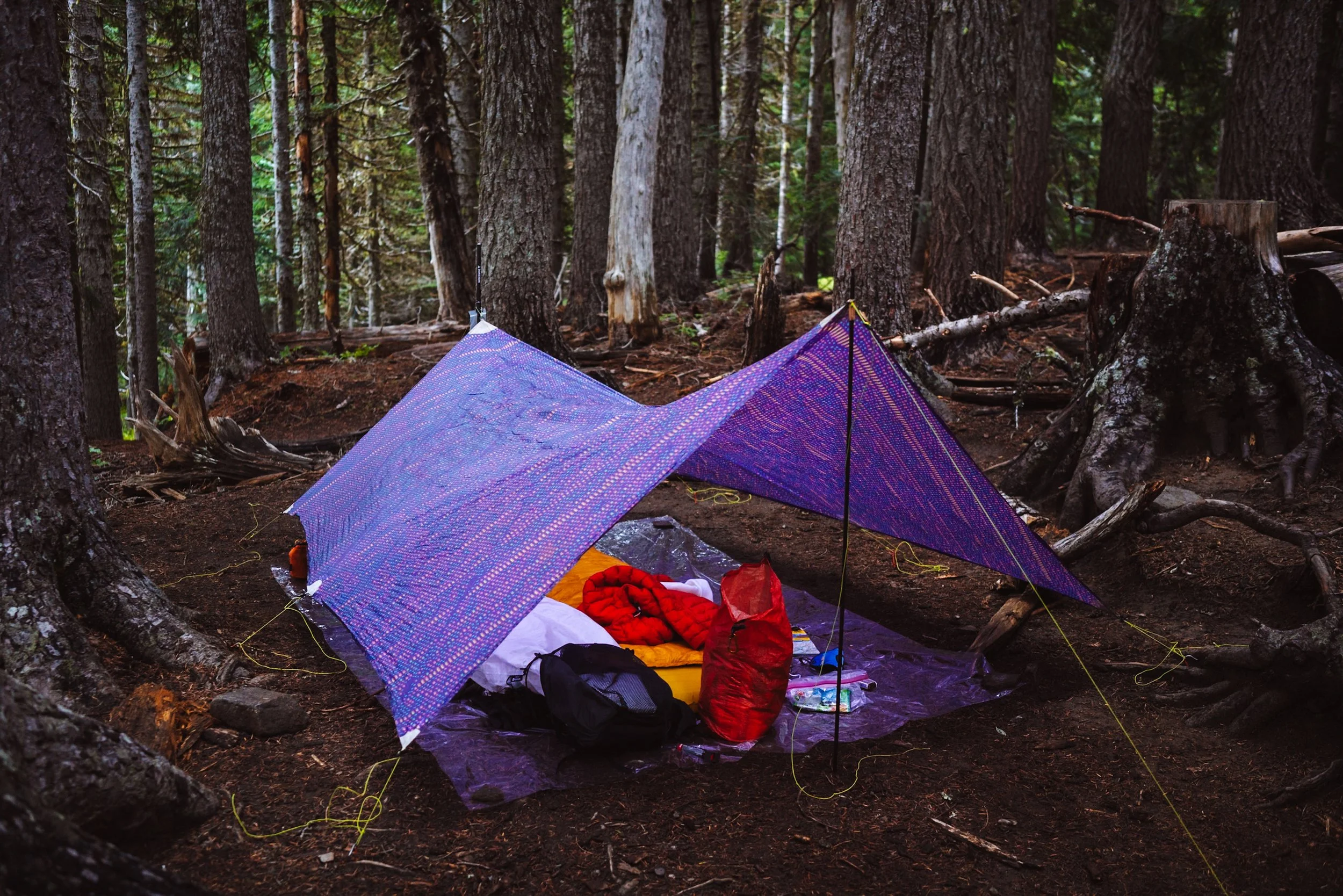 My 6-Day Wonderland Trail Itinerary: A Day-by-Day Breakdown of my Thru ...