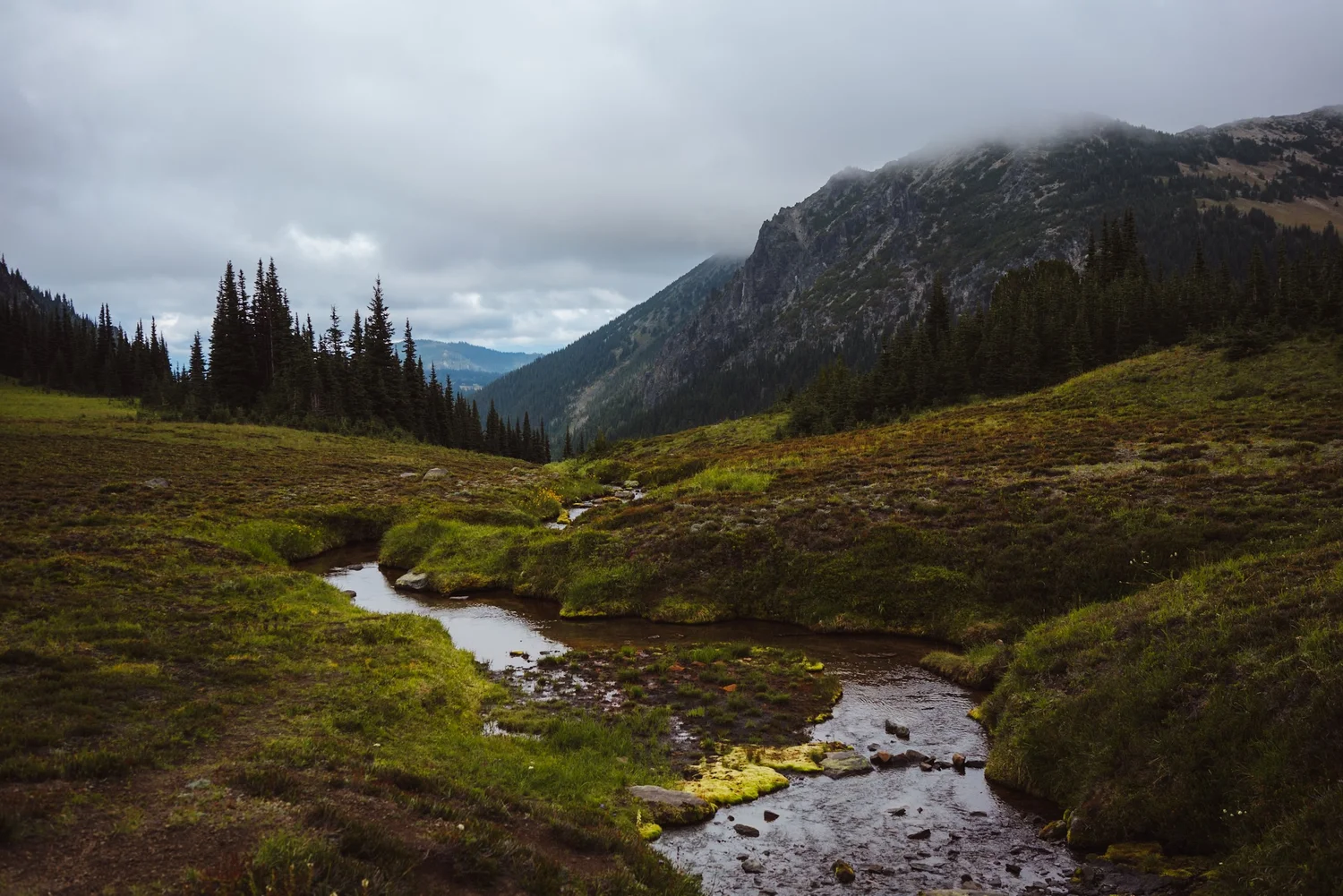 My 6-Day Wonderland Trail Itinerary: A Day-by-Day Breakdown of my Thru ...