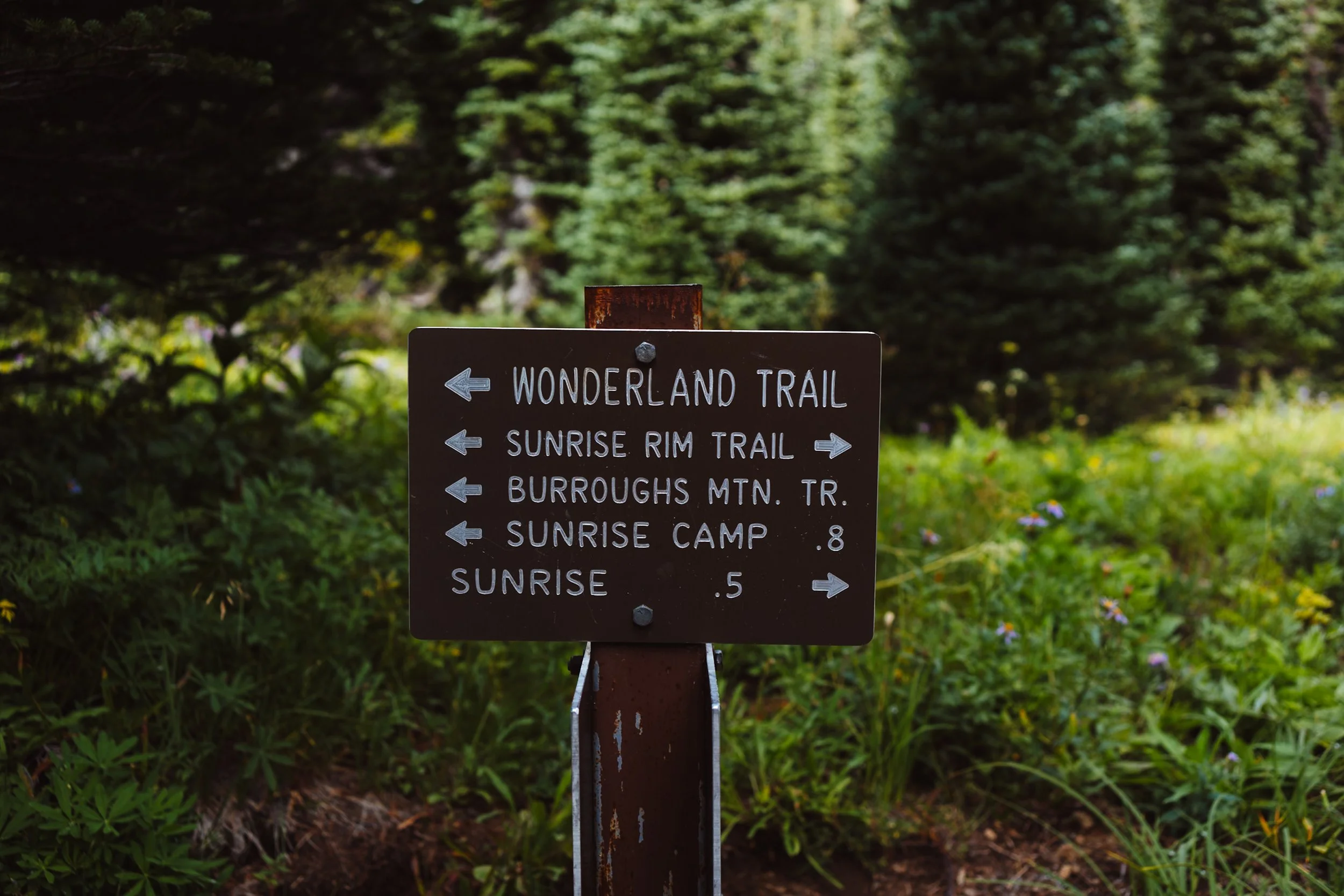 My 6-Day Wonderland Trail Itinerary: A Day-by-Day Breakdown of my Thru ...