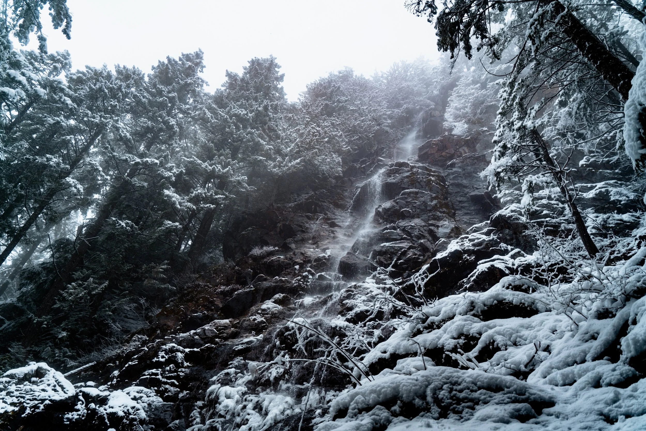 Best Winter Hikes Near Seattle, Washington — Erin Exploring